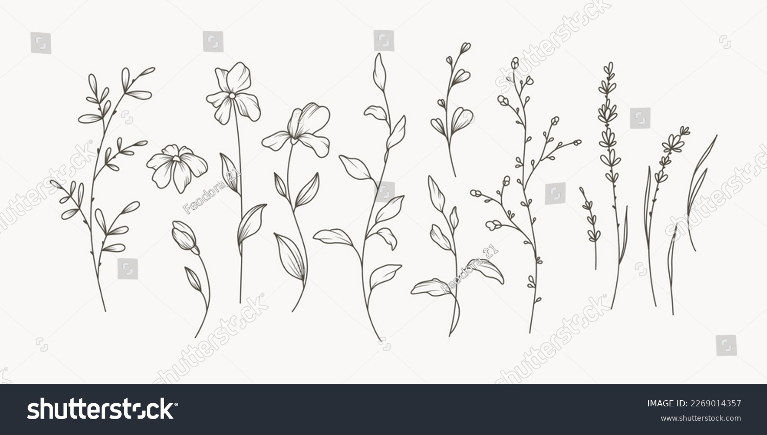 Hand drawn thin floral botanical line art. Trendy minimal elements of ...