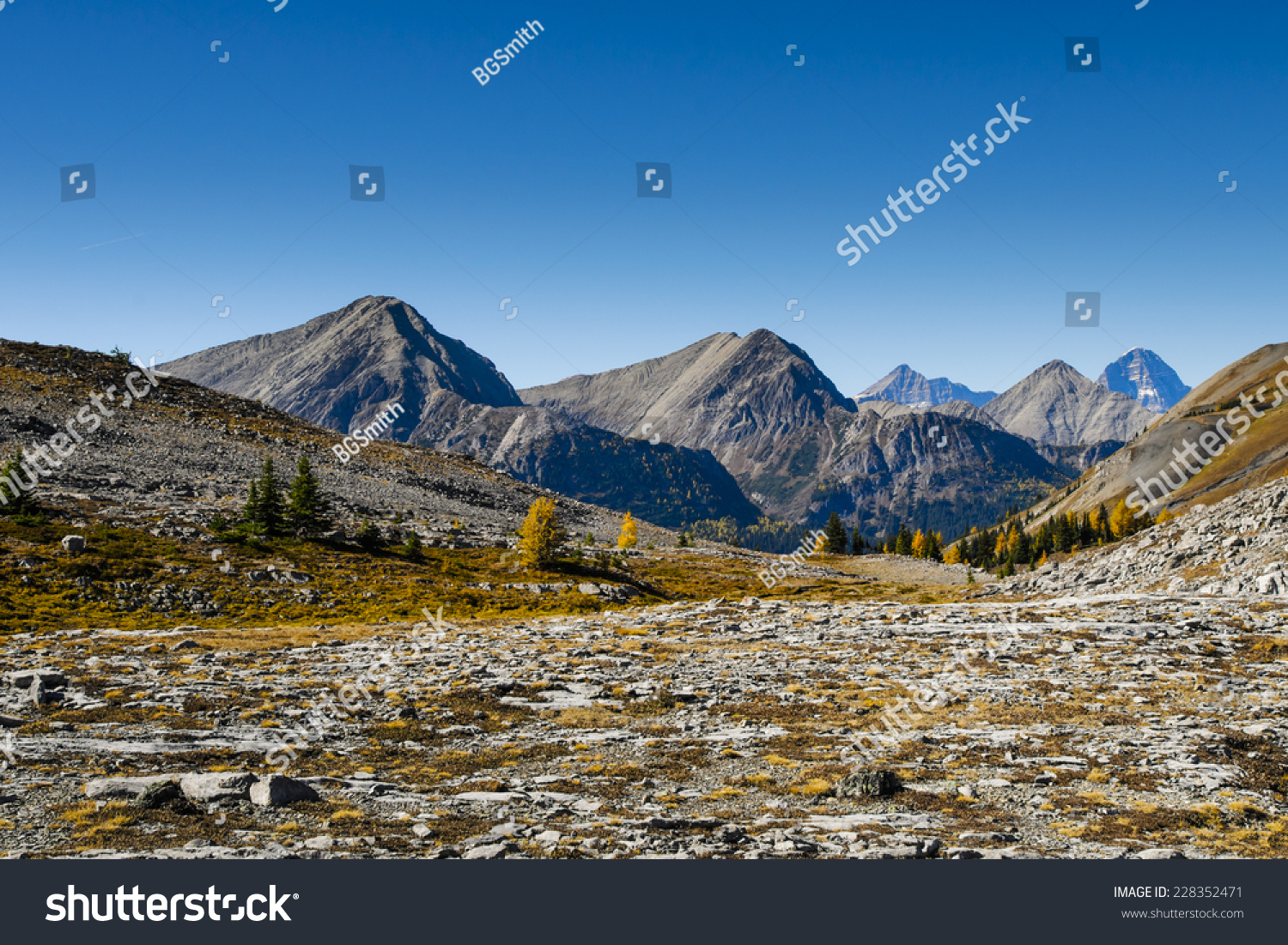 Scenic Landscapes of a high mountain valley and golden Larch Trees ...