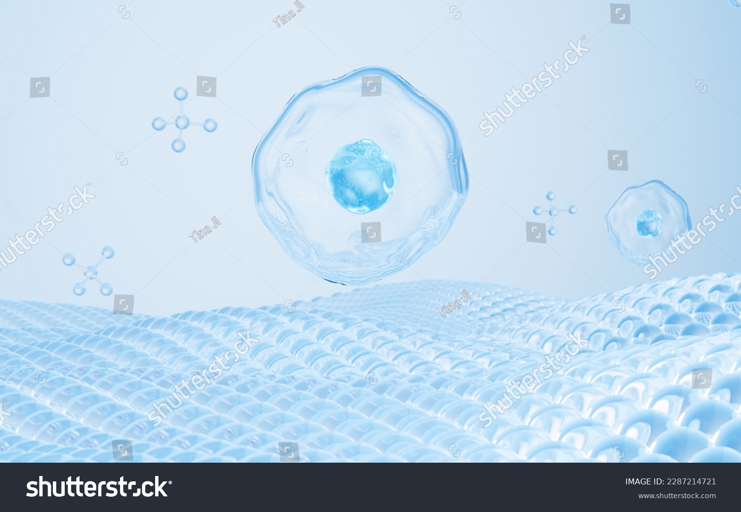 Floating cells and molecules on the skin biology and cosmetic medicine ...