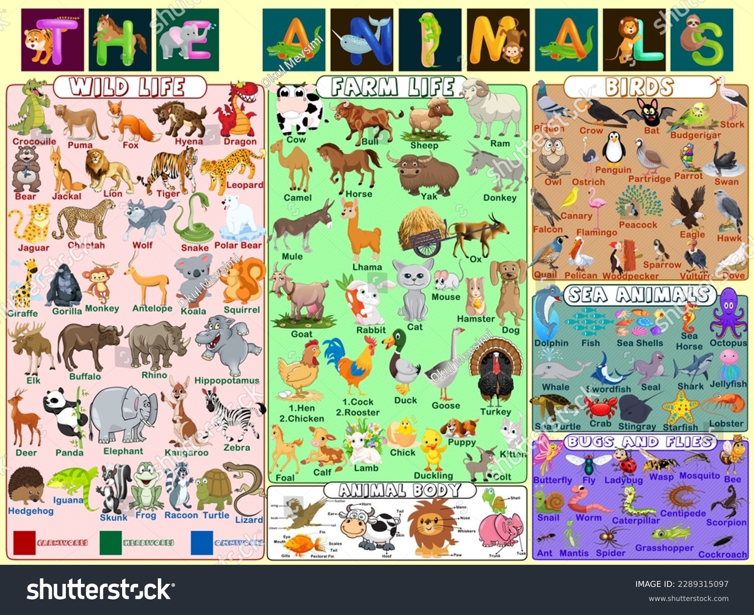 The animal species poster chart_站酷海洛_正版图片_视频_字体_音乐素材交易平台_站酷旗下品牌