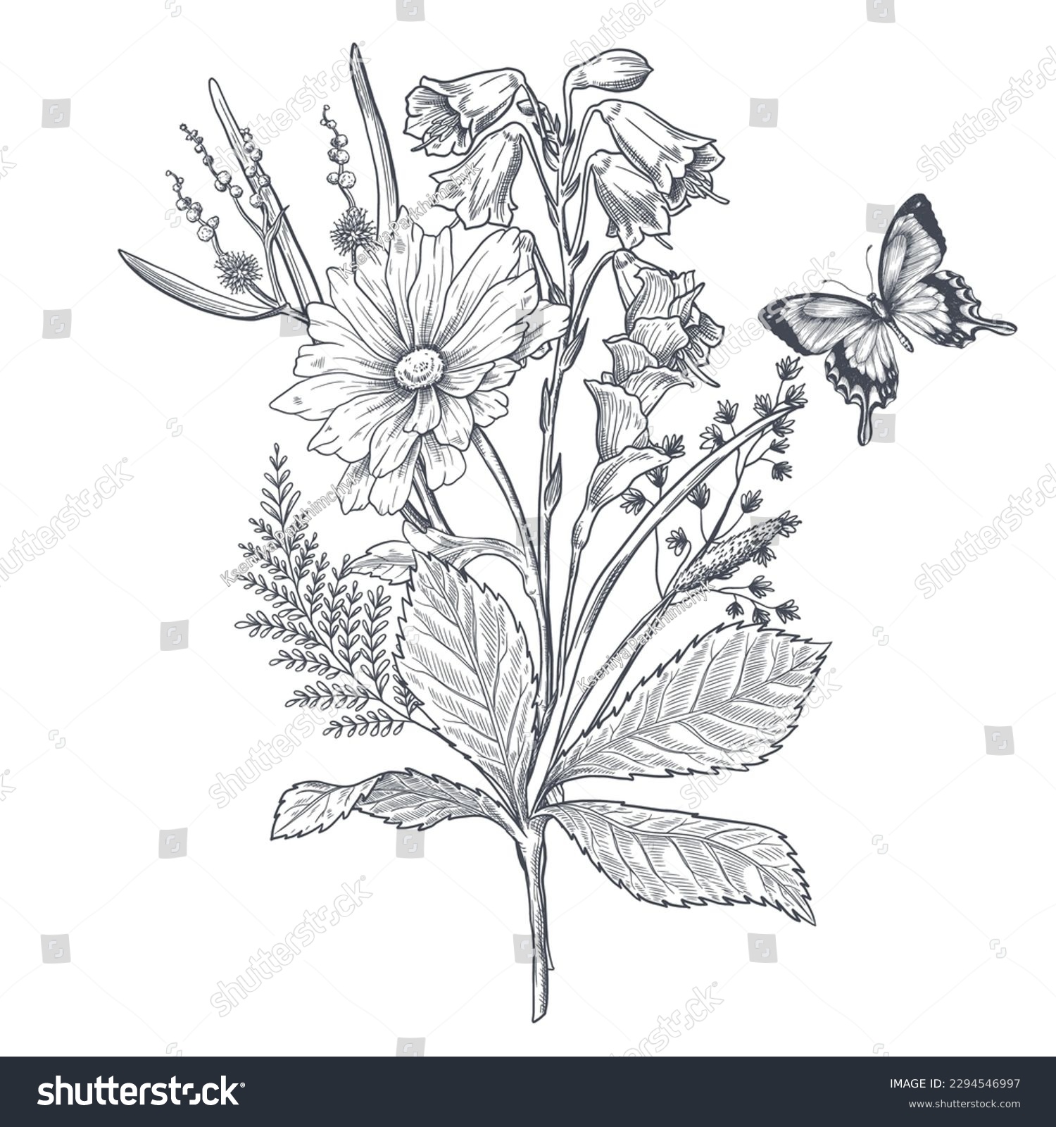 A bouquet of early spring flowers. Botanical style of engraving ...