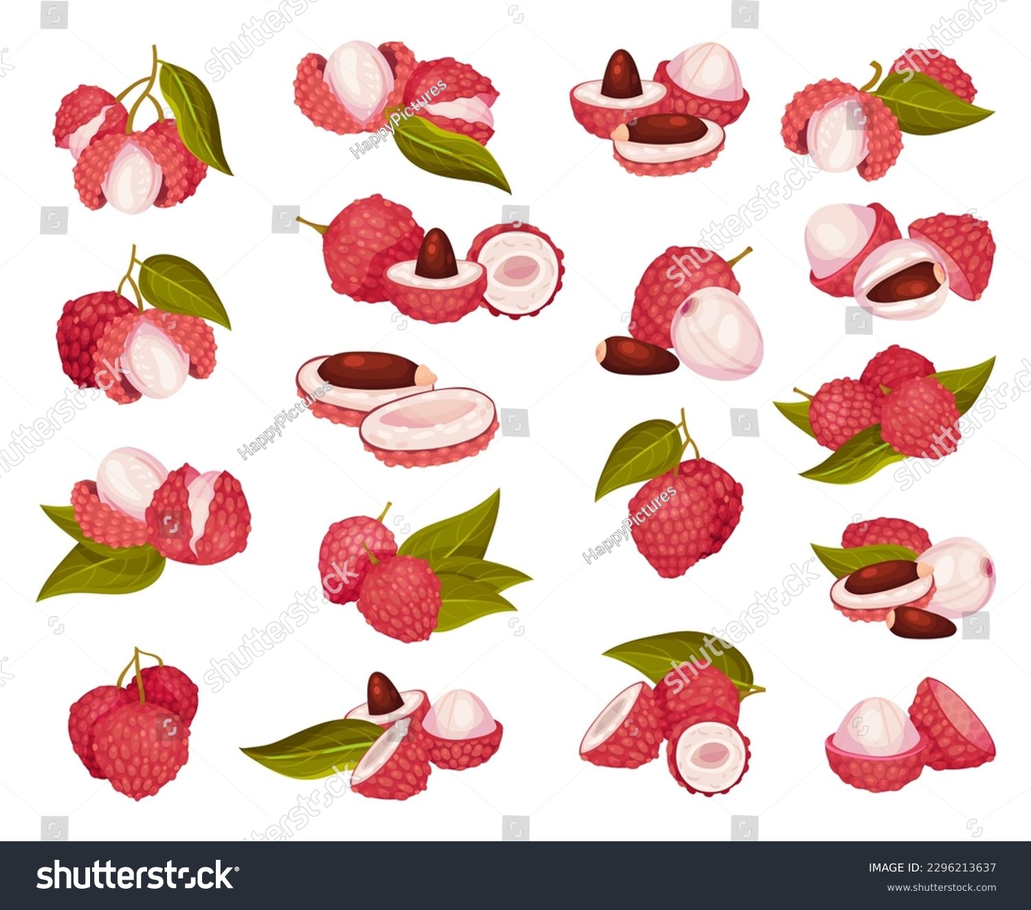Fresh Lychee Fruit with Sweet Flesh and Red Peel Big Vector Set_站酷海洛_正版 ...