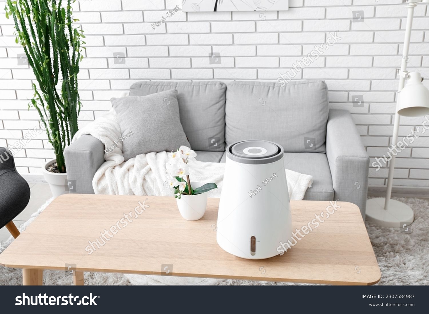 Modern humidifier and flowers in pot on table in interior of living ...