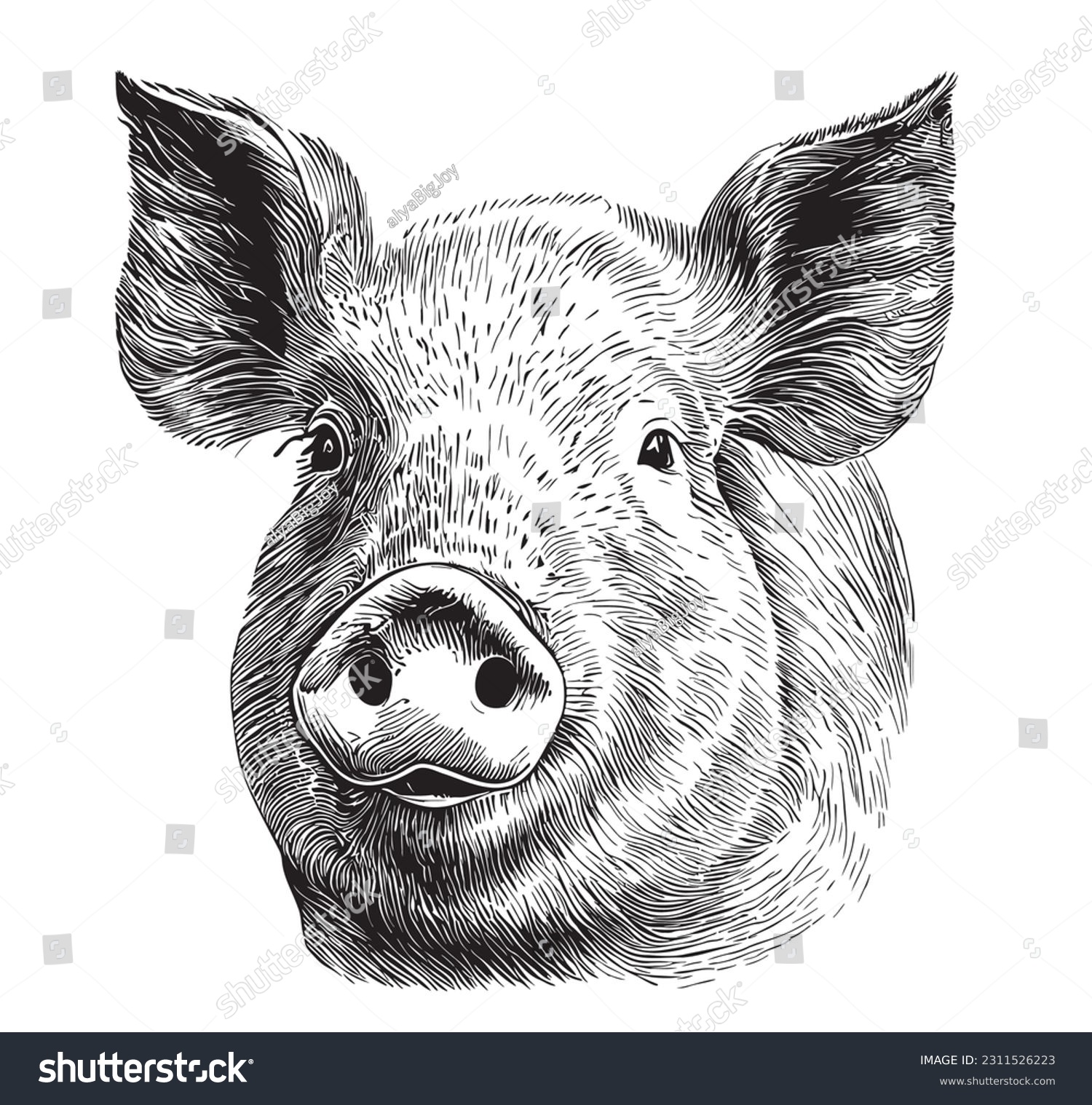 Pig face sketch hand drawn in doodle style illustration_站酷海洛_正版图片_视频_字体 ...