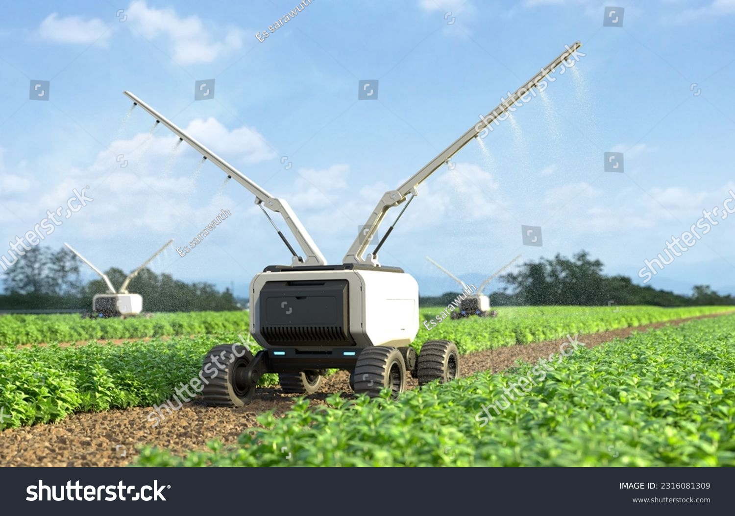 Agricultural robots work in smart farms Robot spraying fertilizer in ...
