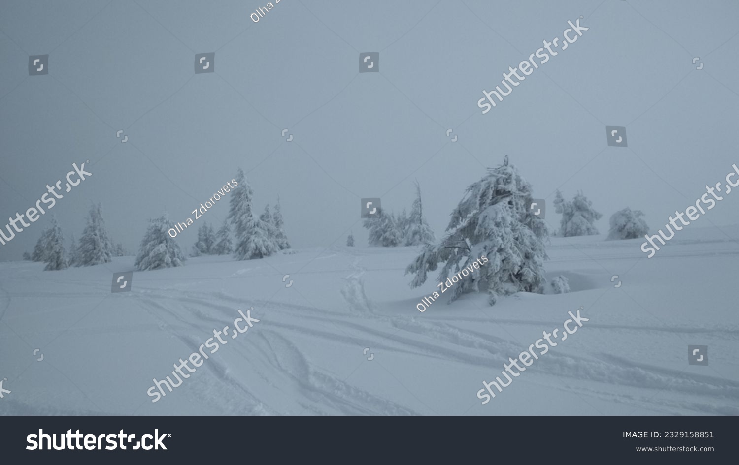 Winter snowfall in Dragobrat Ukraine. Blizzard. Carpathian mountains ...