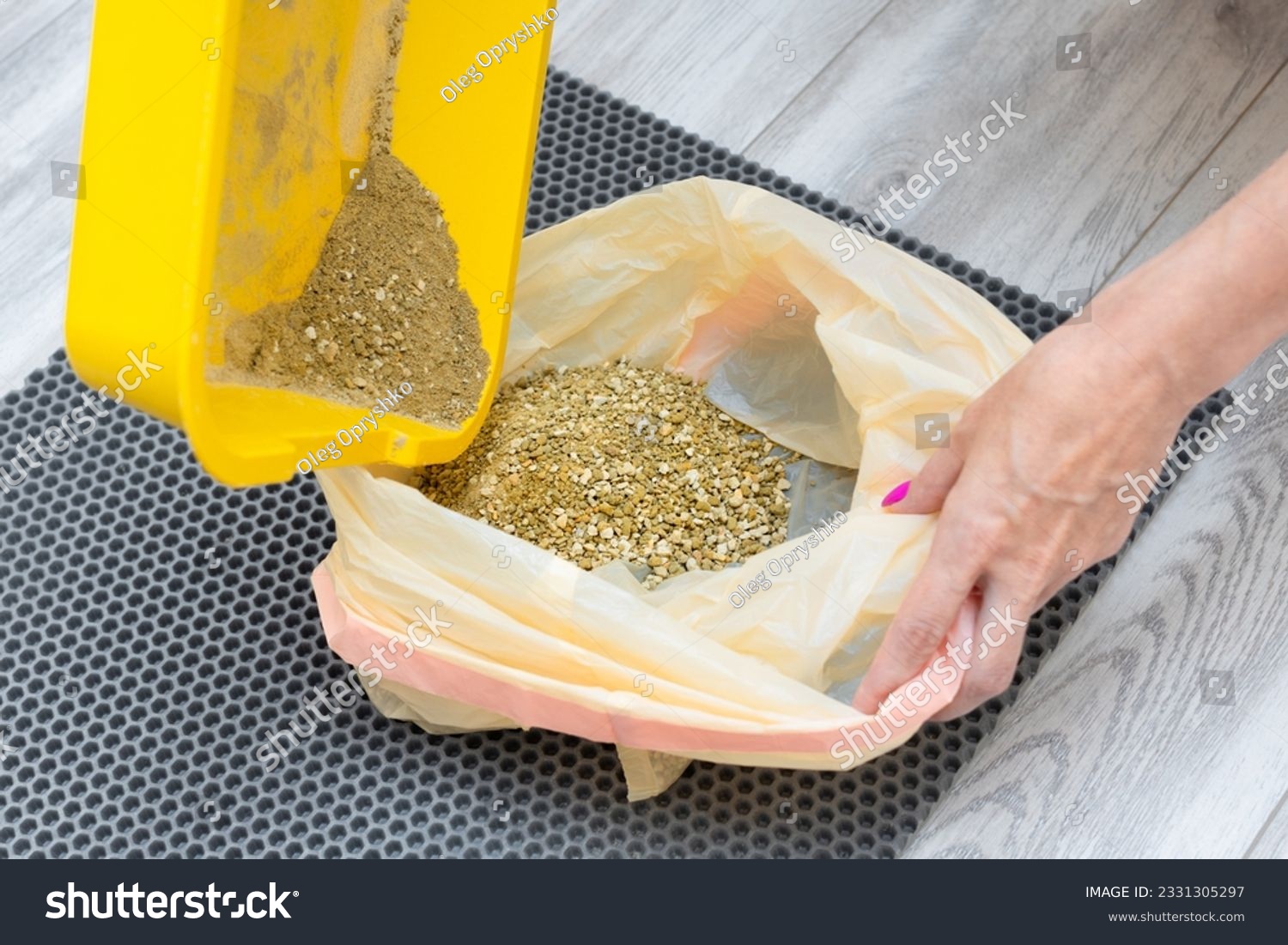 woman pouring used cat litter into trash bag. woman changing cat litter ...