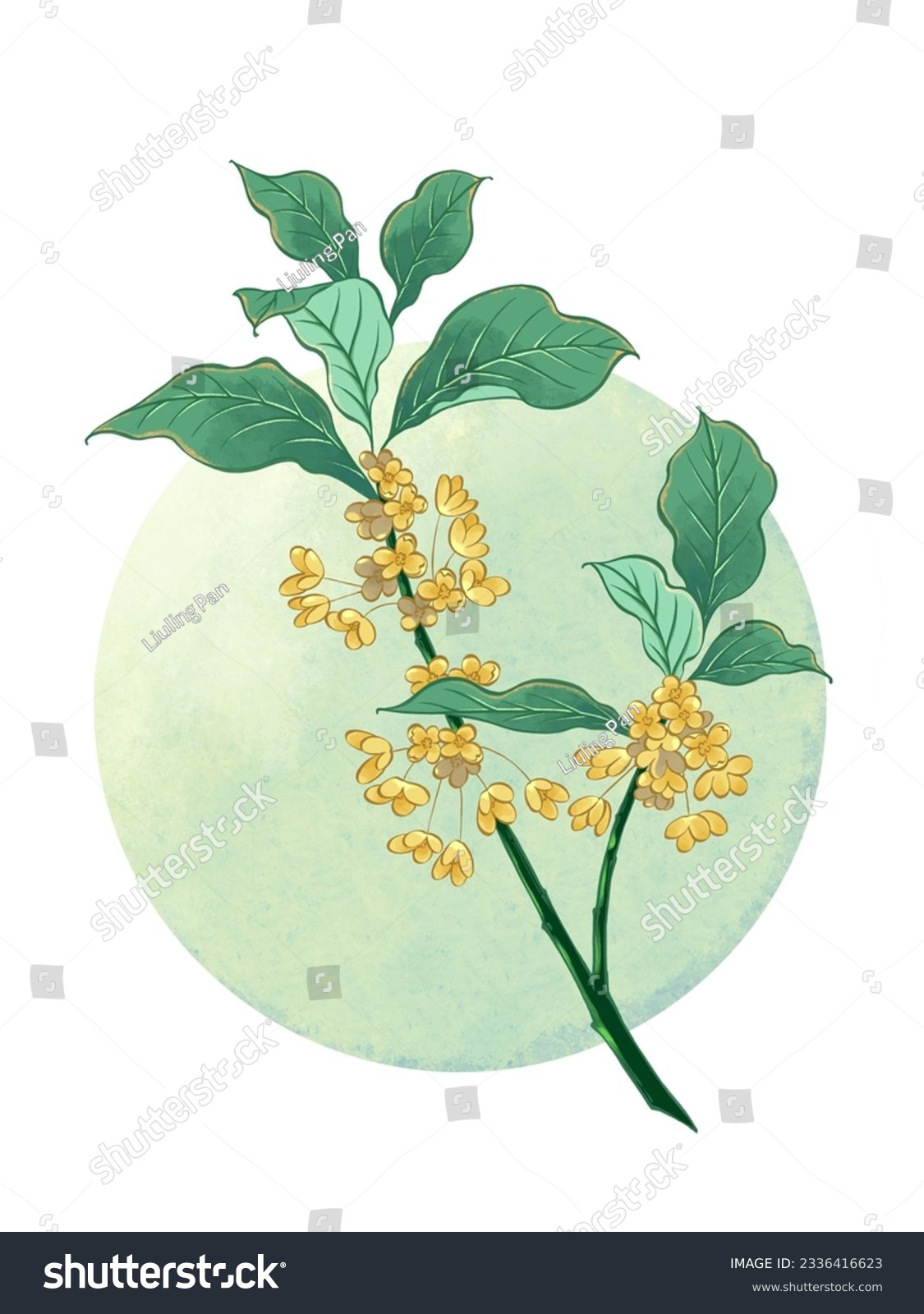 Osmanthus tree branch with flowers digital art._站酷海洛_正版图片_视频_字体_音乐素材交易 ...