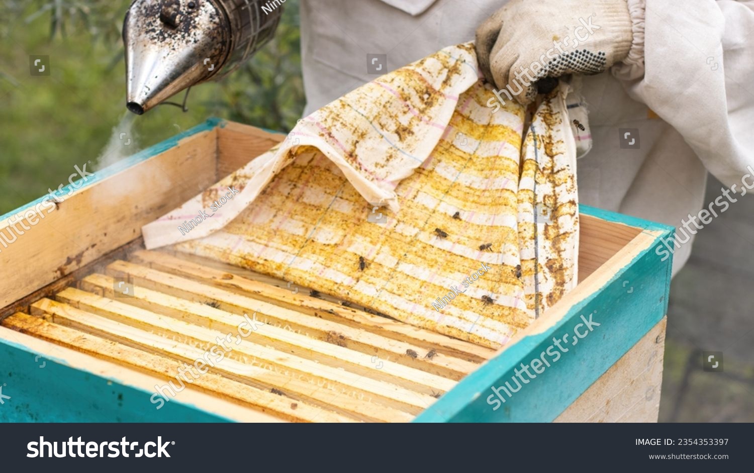 Beekeeper in a protective suit inspects the hive. Beekeeping eco ...