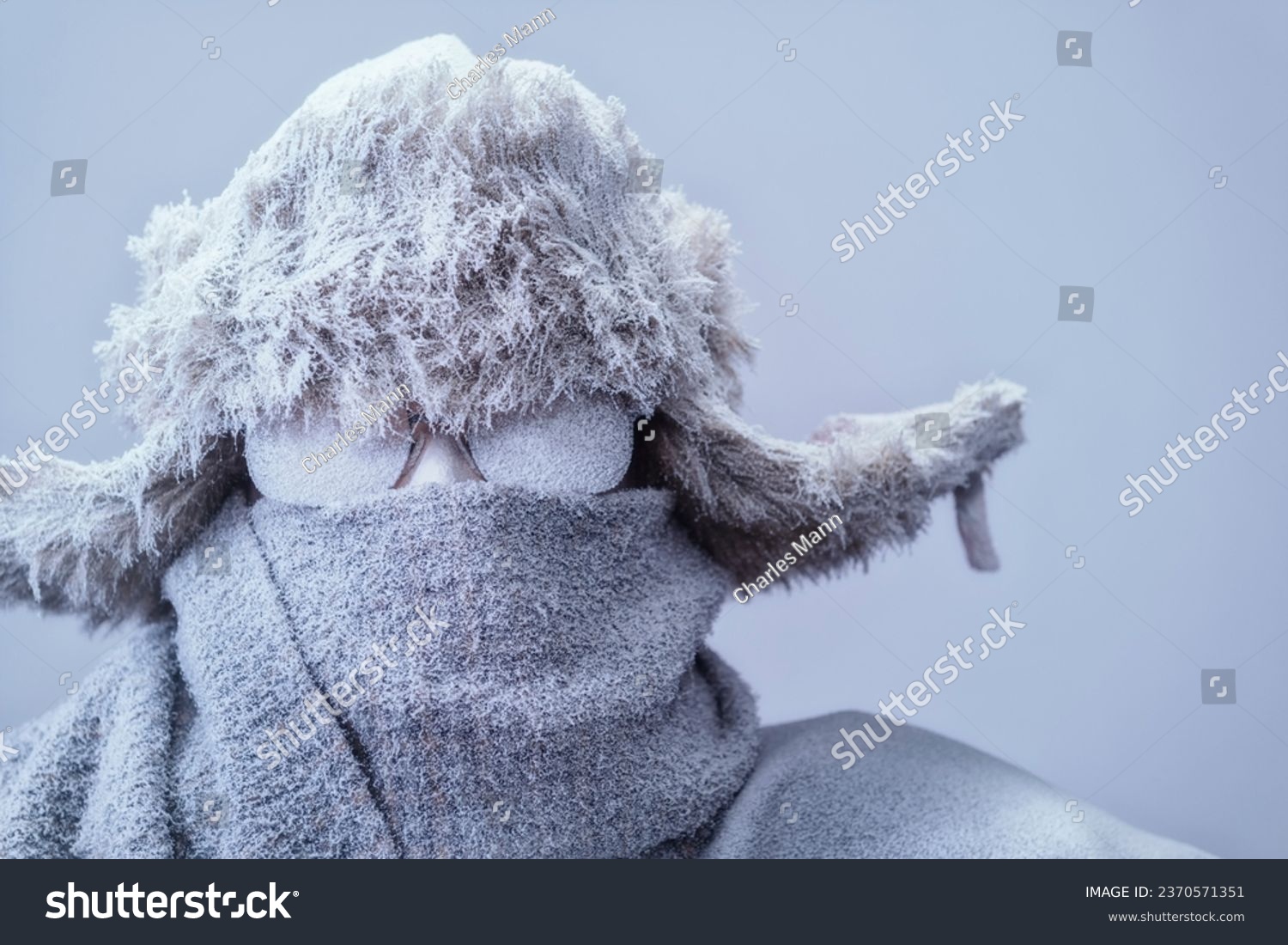 A frozen man all bundled up in a fur trappers hat scarf and parka ...