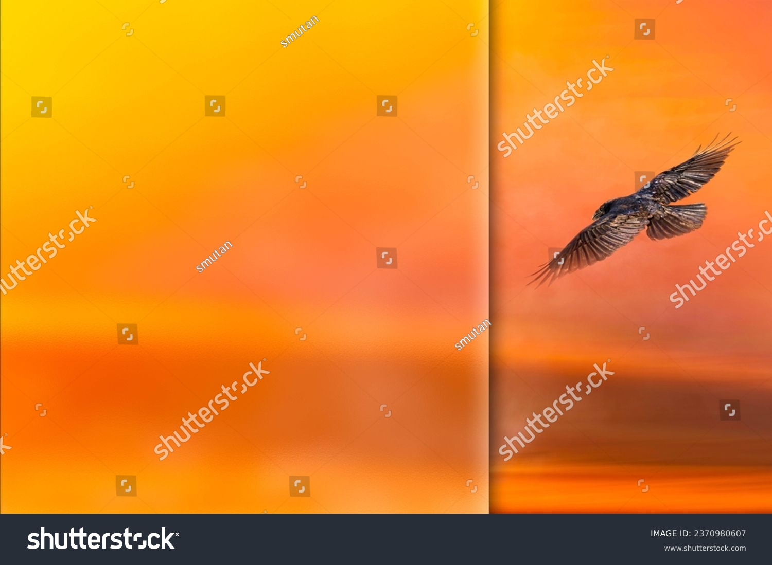 A crow flying in front of an abstract sunset landscape. Photo with a ...