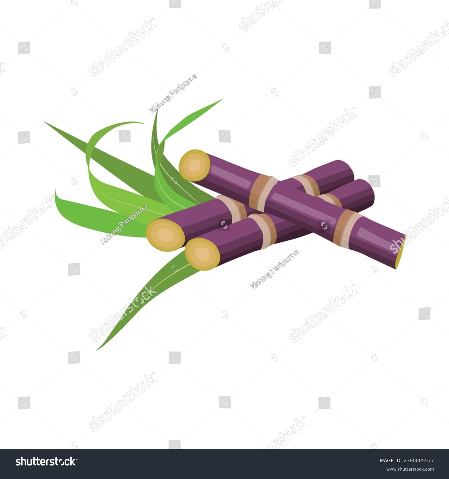 Vector illustration set of green sugarcane cartoon flat style design. Sugarcane plant with stem ...