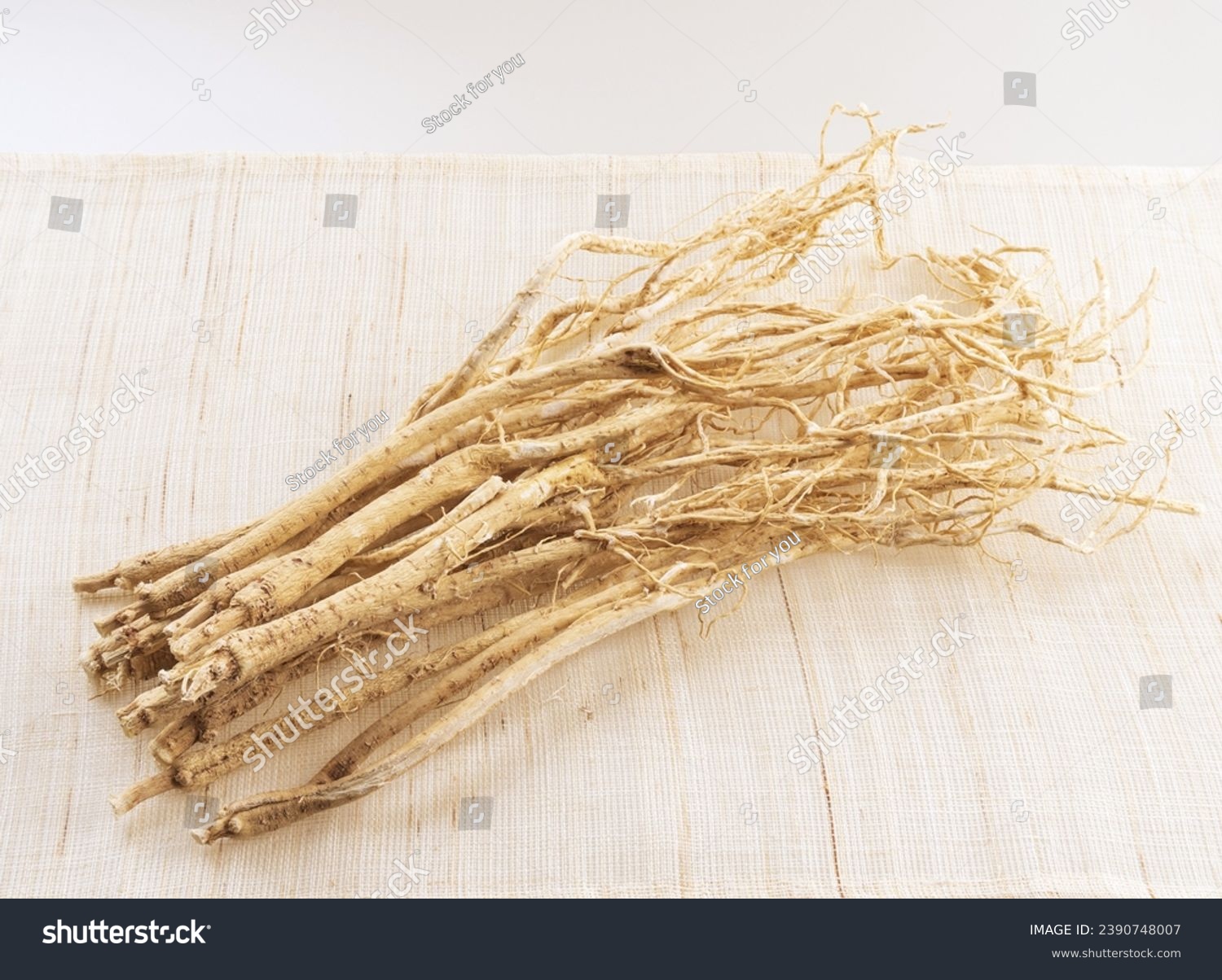 Close up of stacked dried medicinal herbs of milk vetch roots on cloth ...