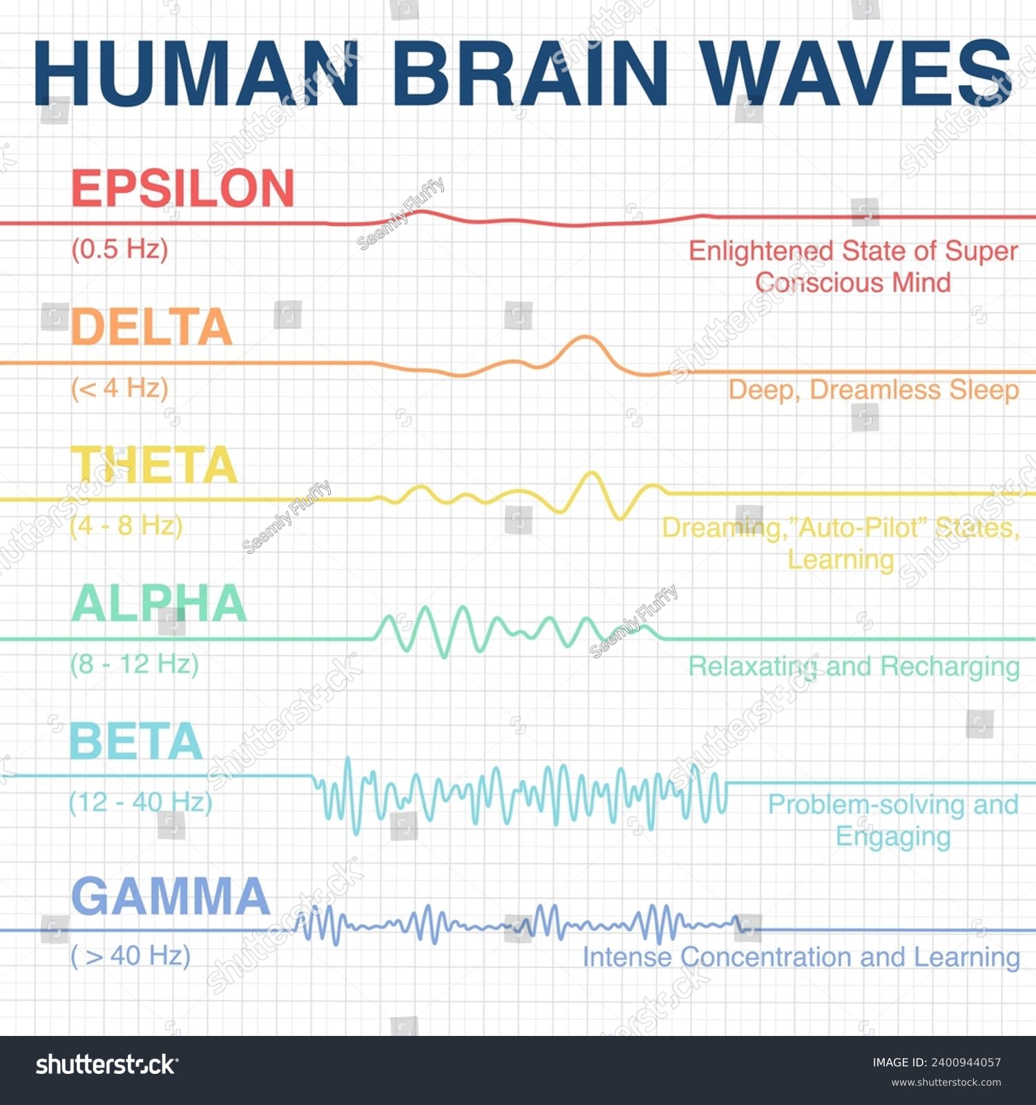 Human brain wave frequency graphics. Vector illustration ...