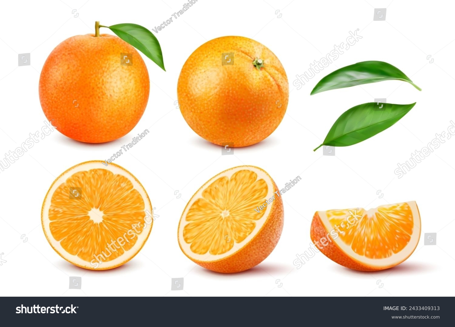 realistic ripe orange whole citrus fruit slice and half section revealing its fresh succulent ...