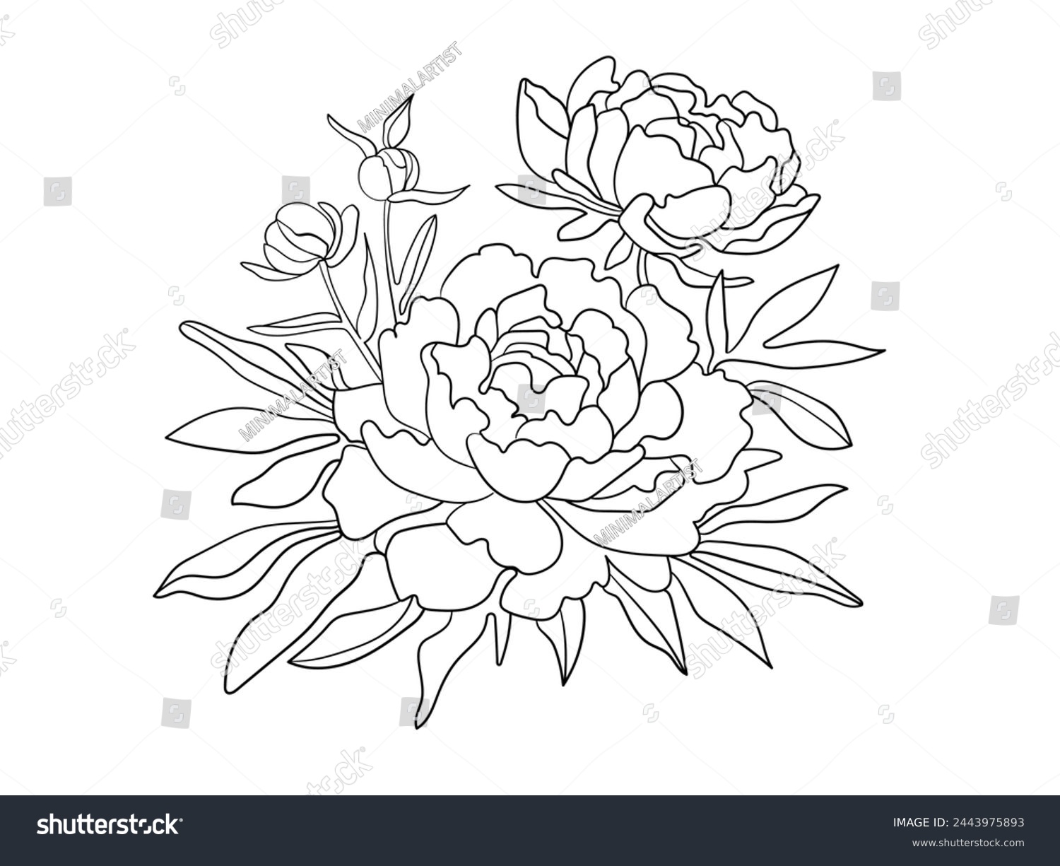 Peonies clipart continuous line art drawing isolated on white ...