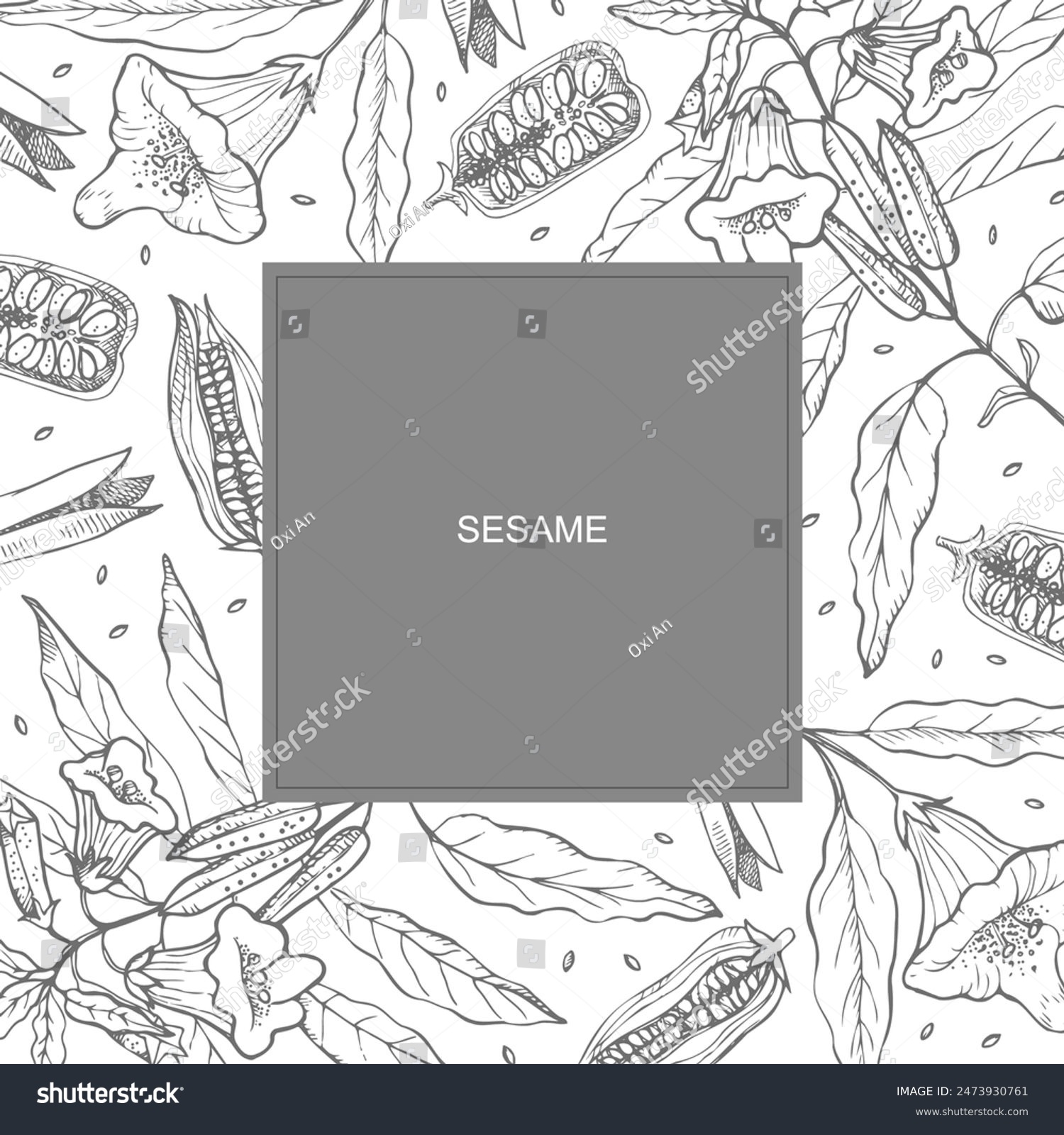 Sesame plant hand drawn label background with flower branch sesame ...