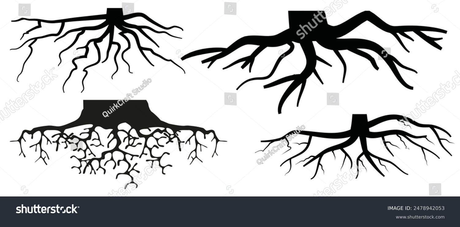 Various realistic tree or shrub roots. Parts of plant root system with ...