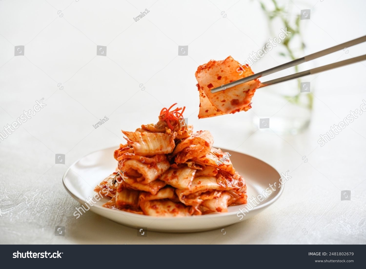 A person is picking up cabbage kimchi a traditional Korean kimchi with ...