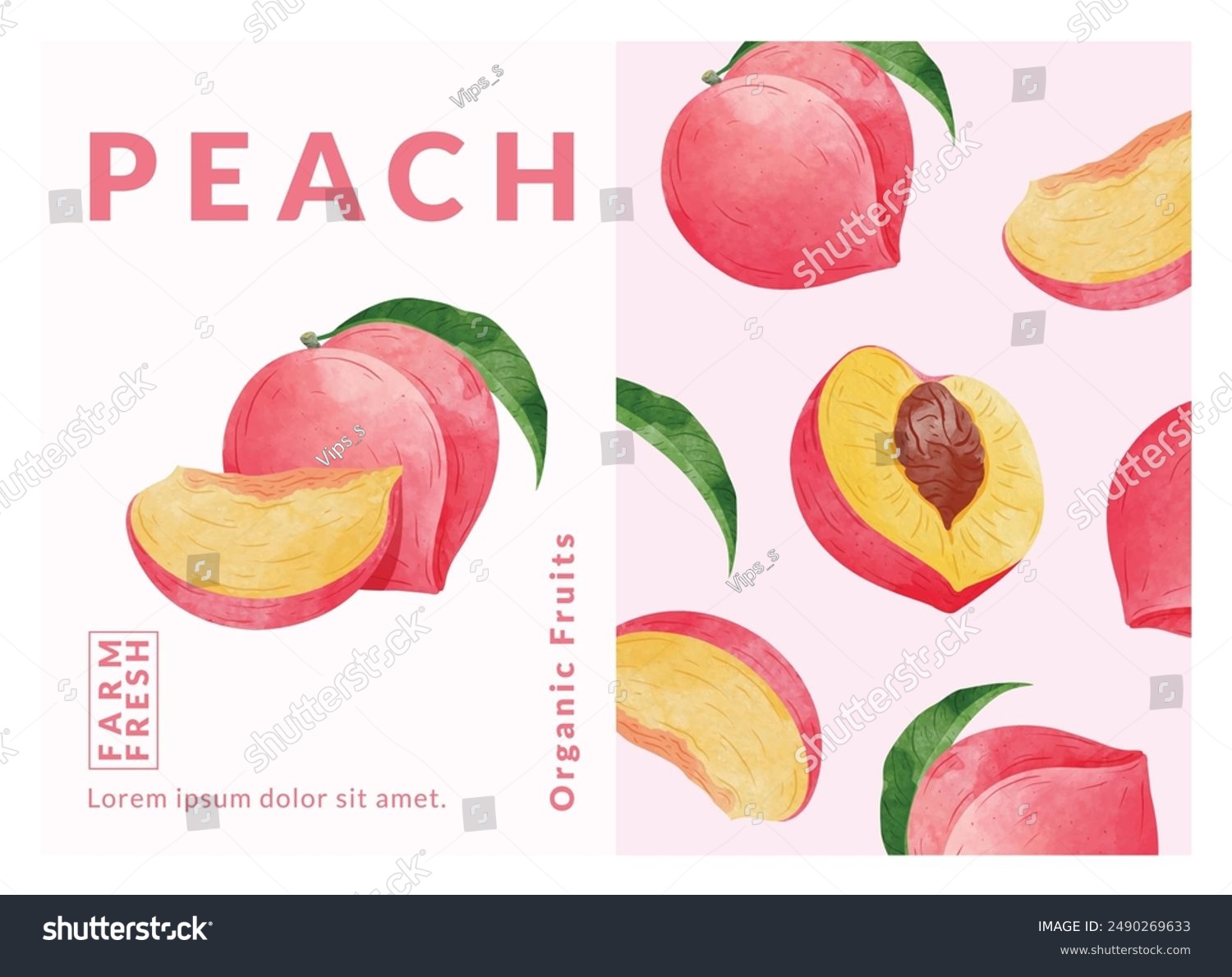 Peach packaging design templates watercolour style vector illustration ...