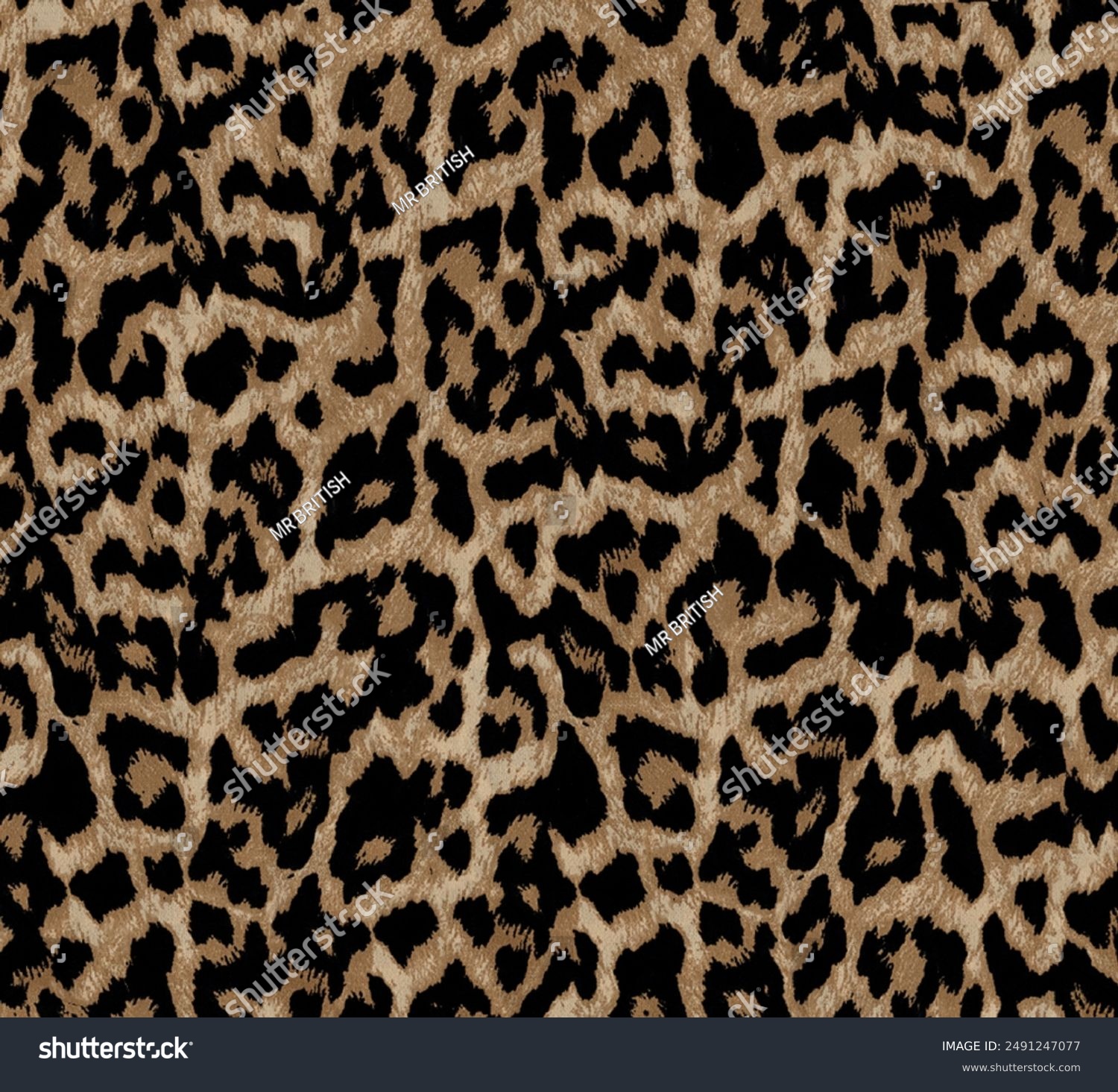 The beautiful leopard pattern art._站酷海洛_正版图片_视频_字体_音乐素材交易平台_站酷旗下品牌