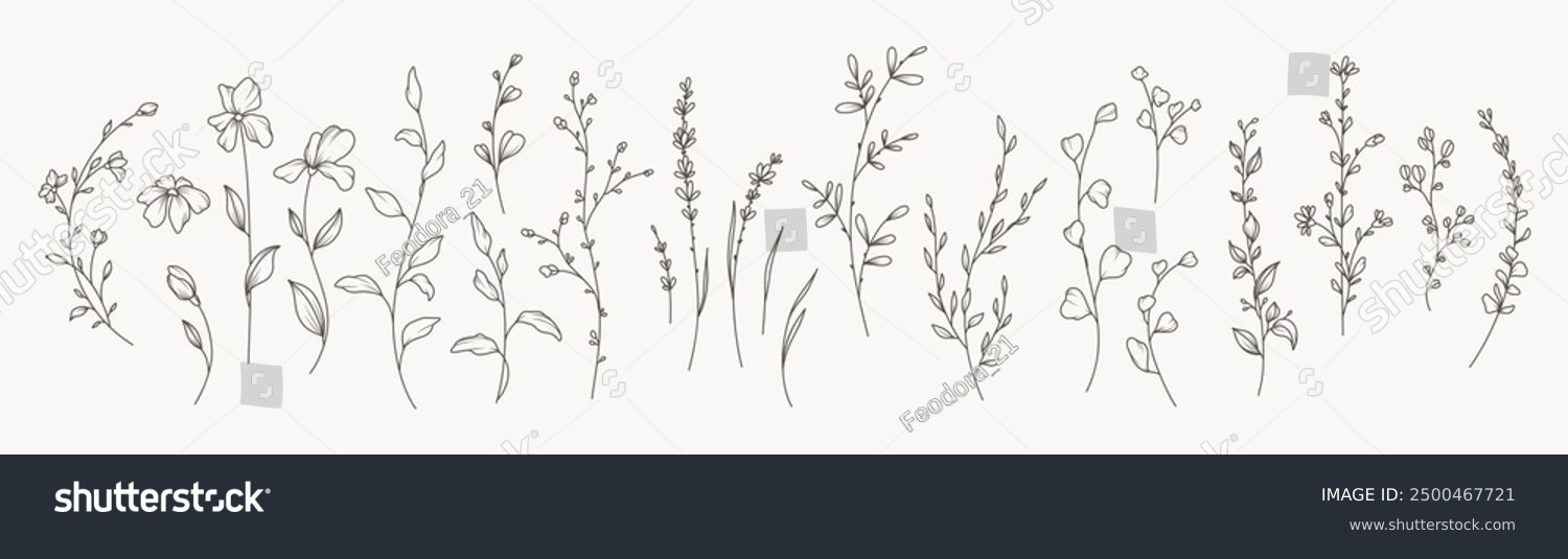 Hand drawn thin floral botanical line art. Trendy minimal elements of ...