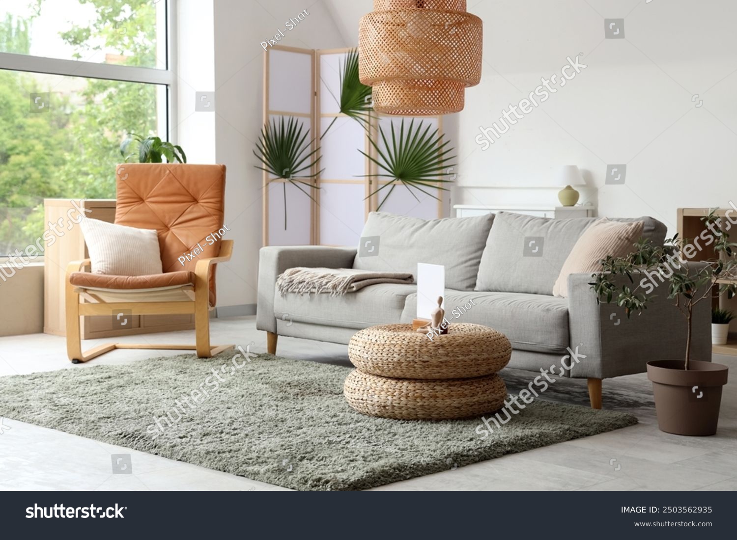 Cozy sofa armchair and decorative olive tree in interior of living room ...