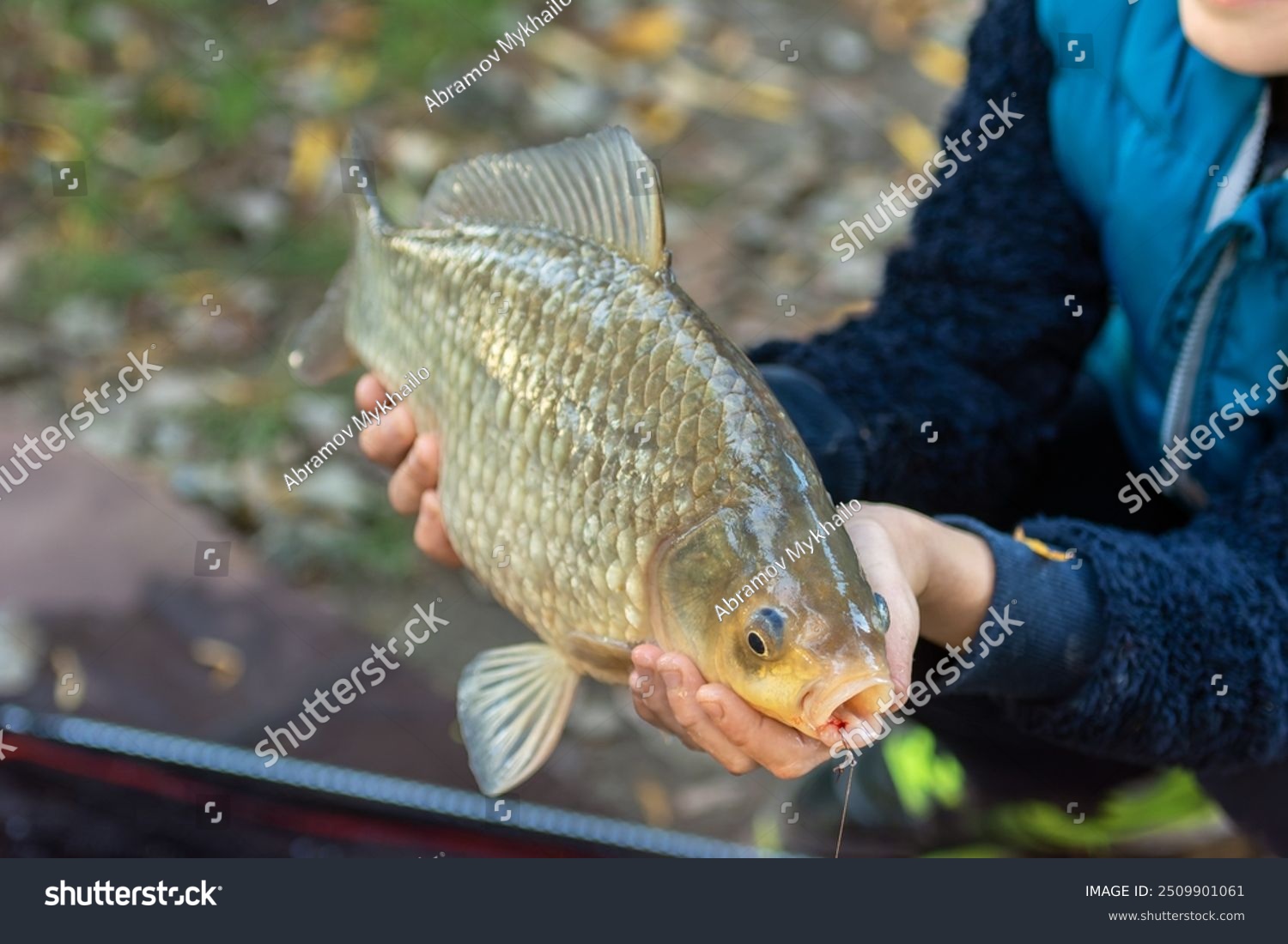Little fisherman watching fishing rods or holding fish. Sunny weather. Spring summer or autumn ...