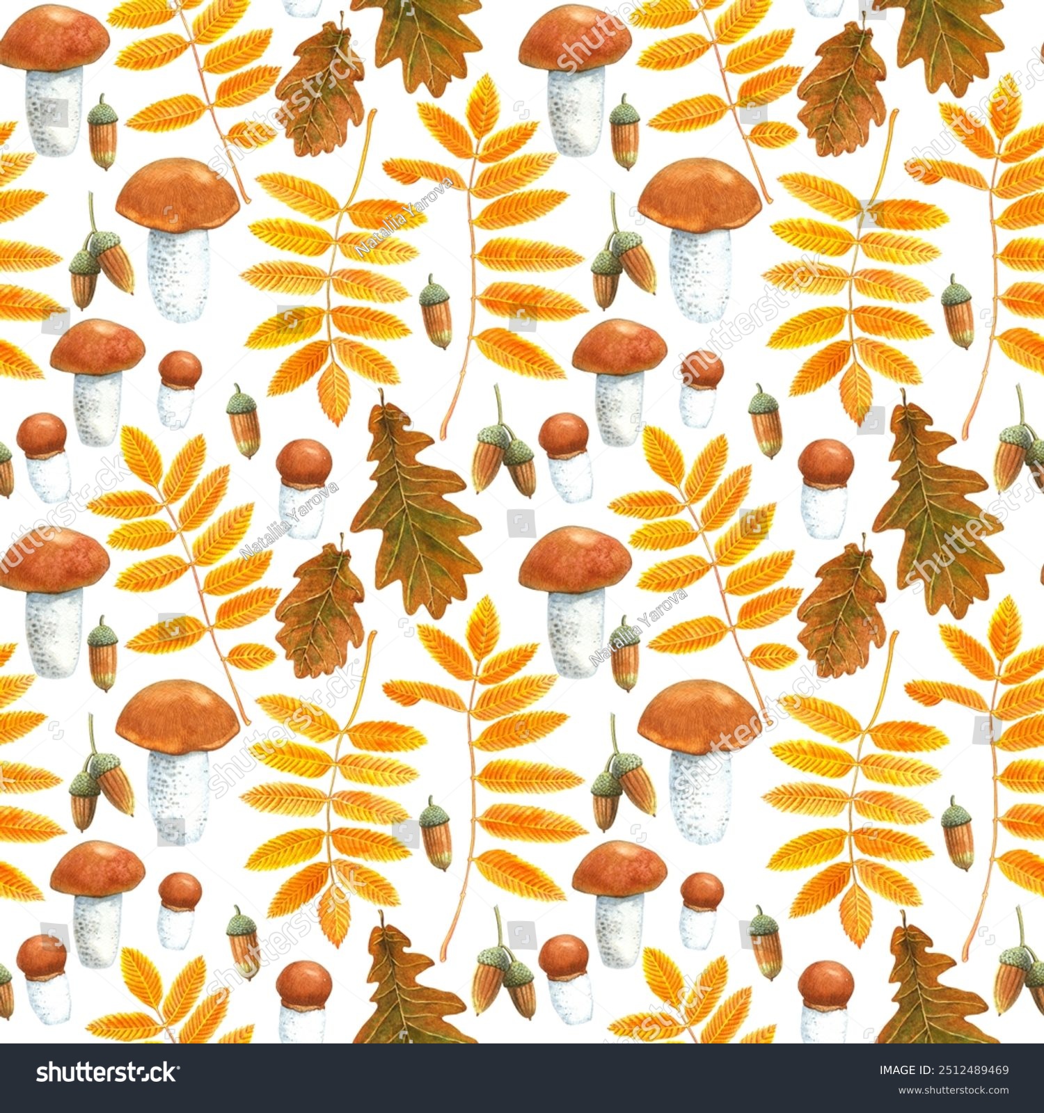Mushrooms oak leaves acorns rowan yellow leaf hand drawn watercolor ...
