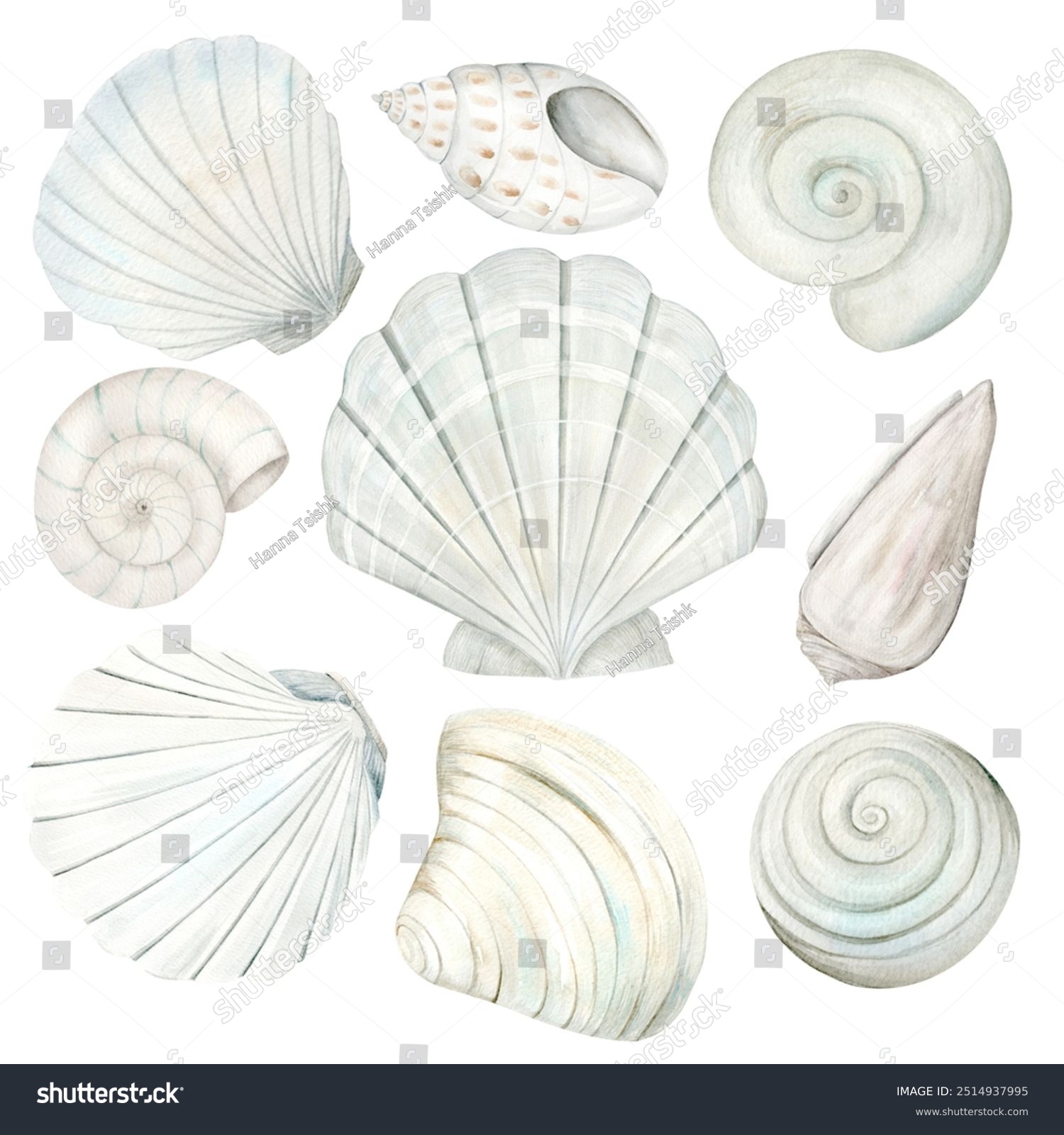 Sea Shells. A set of beige seashells. Watercolor pattern. Hand-painted ...