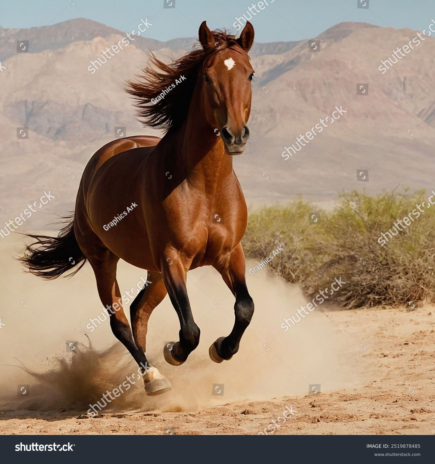 beautiful horse running in wildlife _站酷海洛_正版图片_视频_字体_音乐素材交易平台_站酷旗下品牌