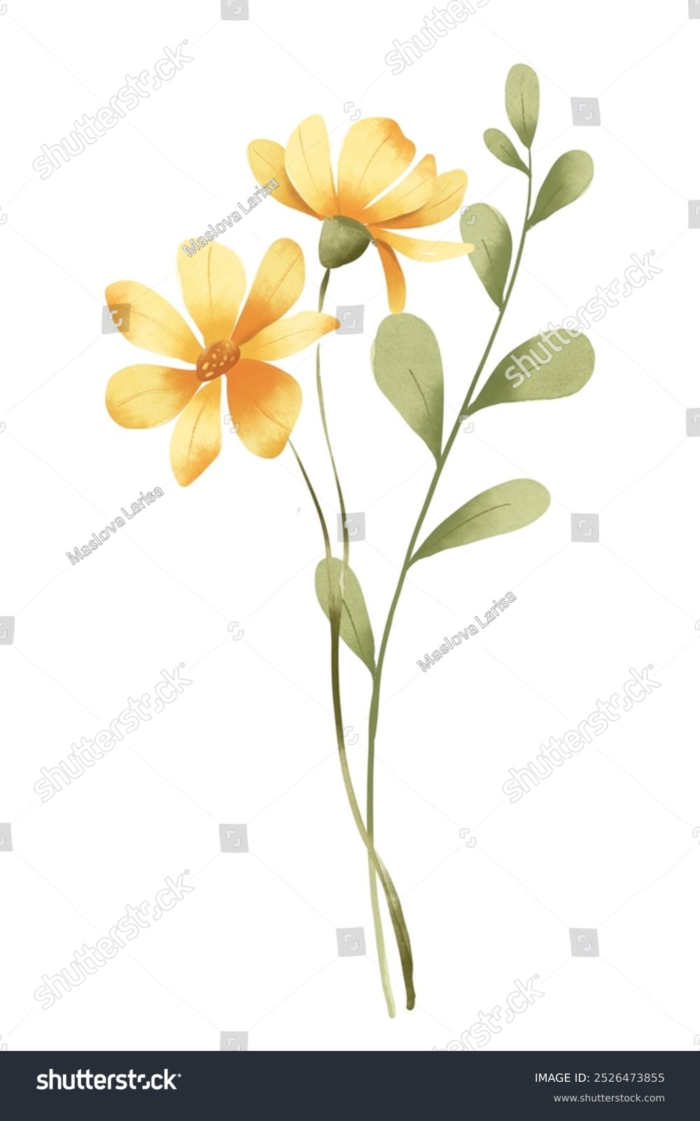 Yellow single flower watercolour botanical illustration decoration for ...