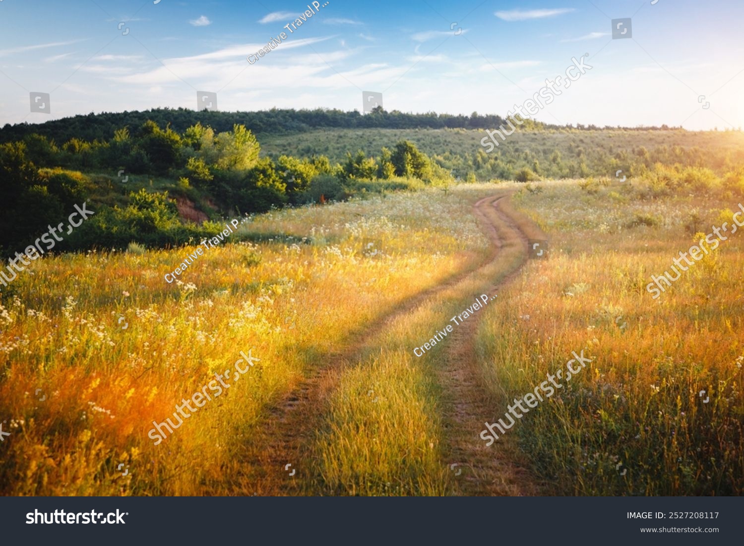 A country road stretches into the distance through green and blooming ...
