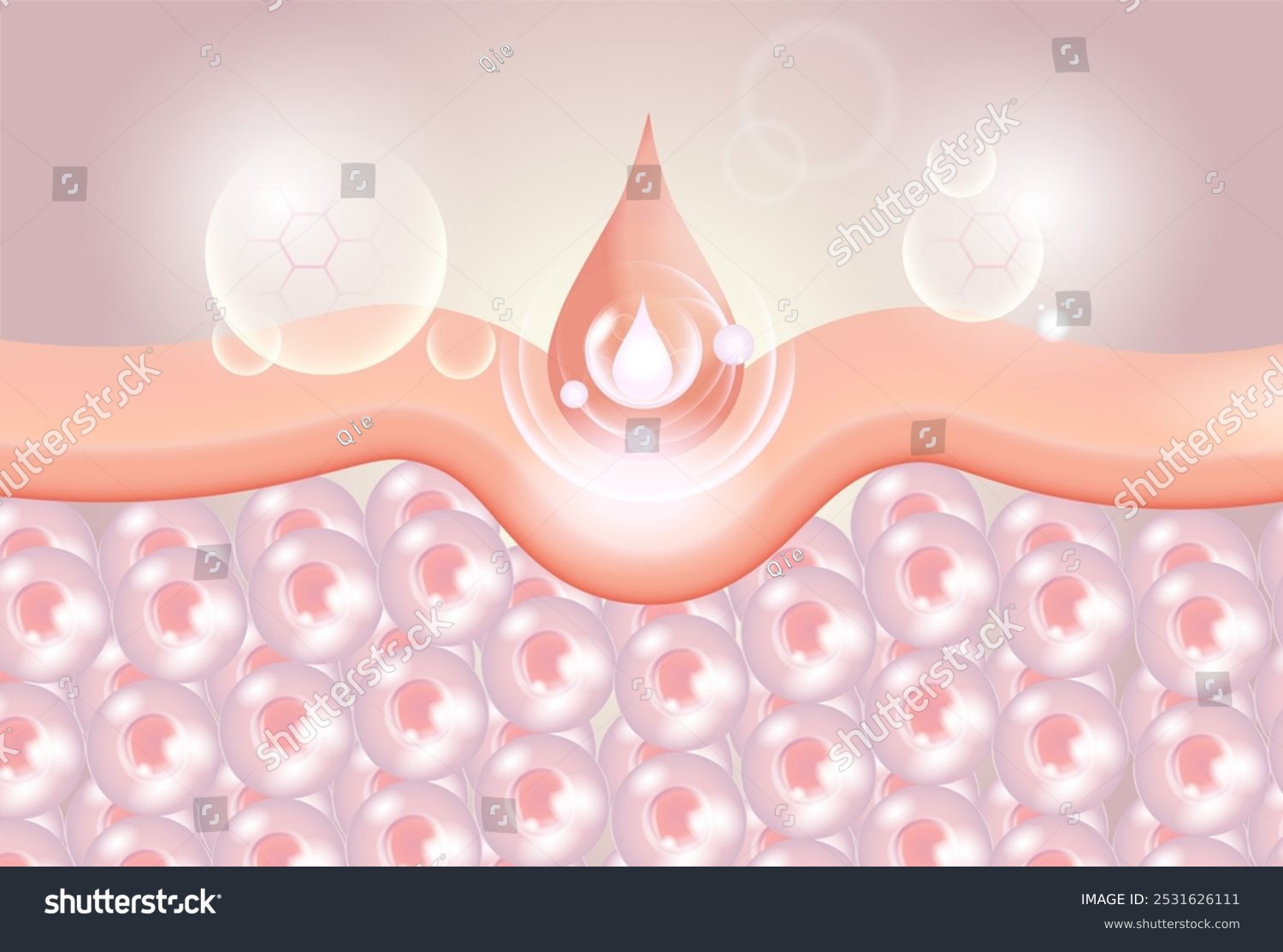 absorption of vitamin cream in skin cells_站酷海洛_正版图片_视频_字体_音乐素材交易平台_站酷旗下品牌