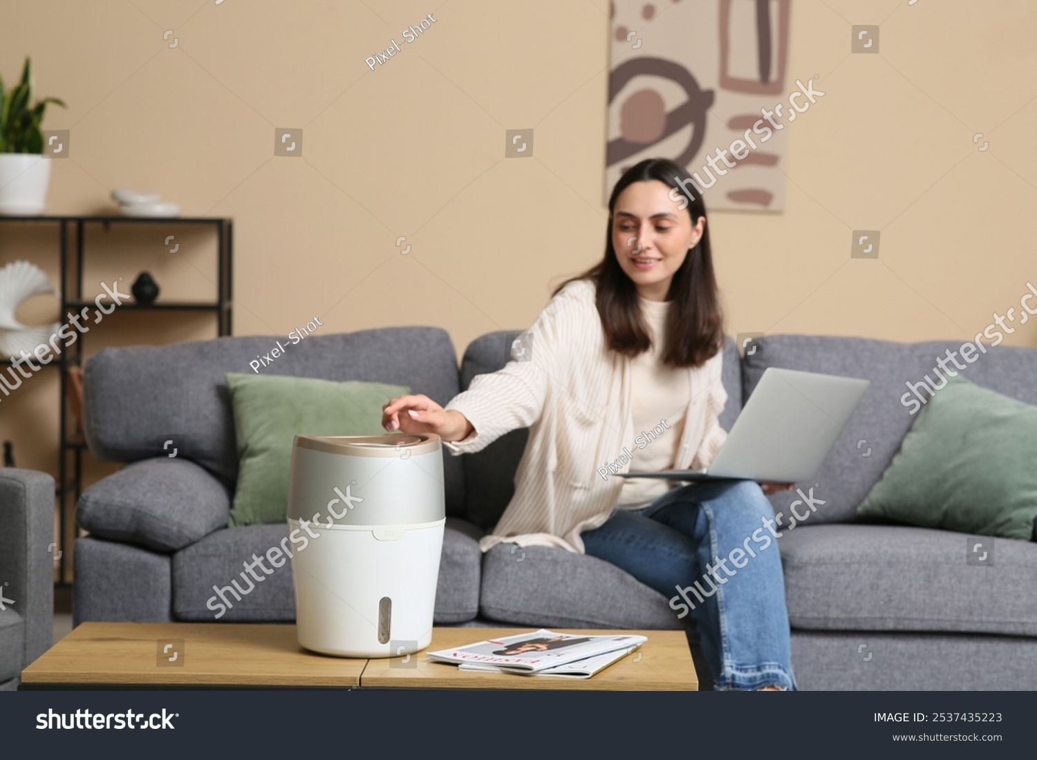 Beautiful young woman with laptop and modern air humidifier sitting on ...