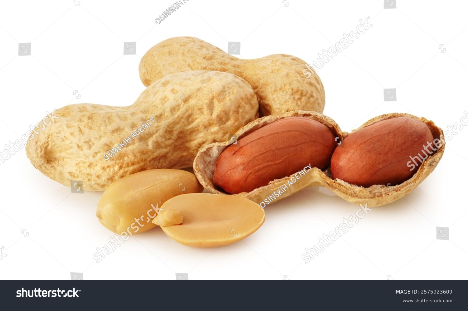 Peanut isolated on white background_站酷海洛_正版图片_视频_字体_音乐素材交易平台_站酷旗下品牌