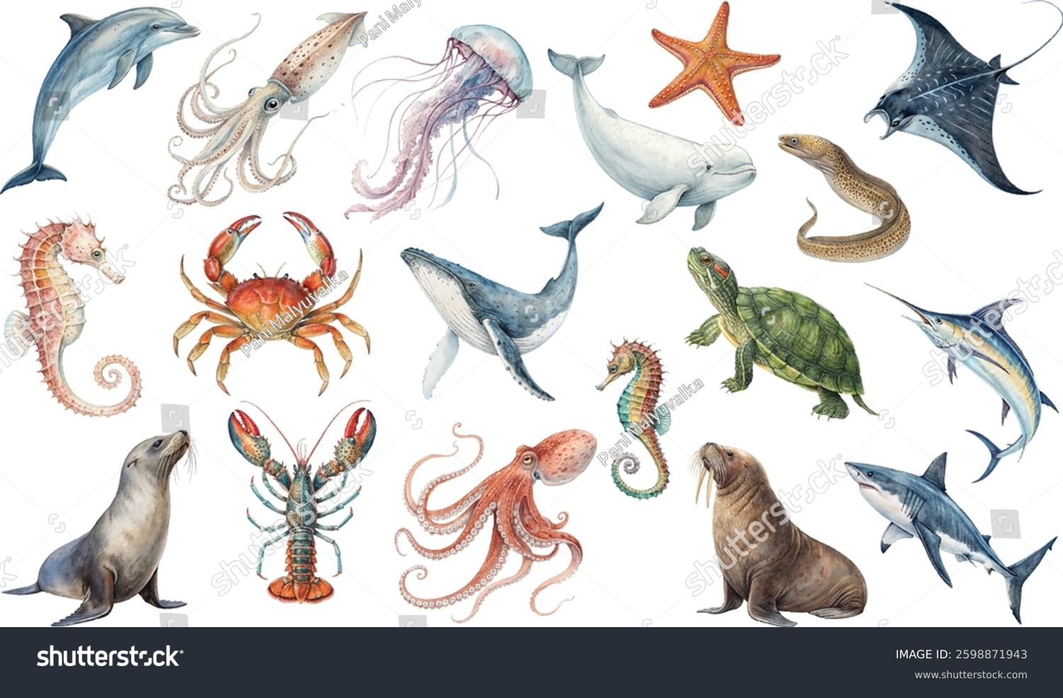 Hand-painted watercolor illustrations of marine animals including ...