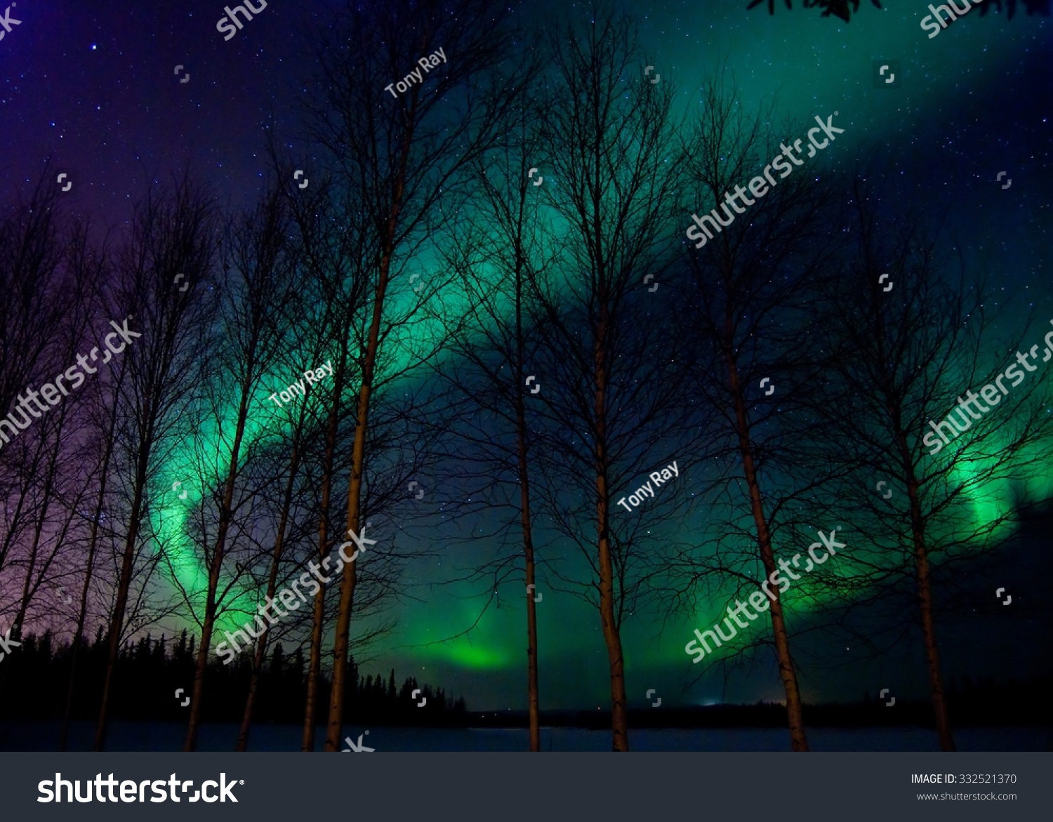 Northern lights_站酷海洛_正版图片_视频_字体_音乐素材交易平台_站酷旗下品牌