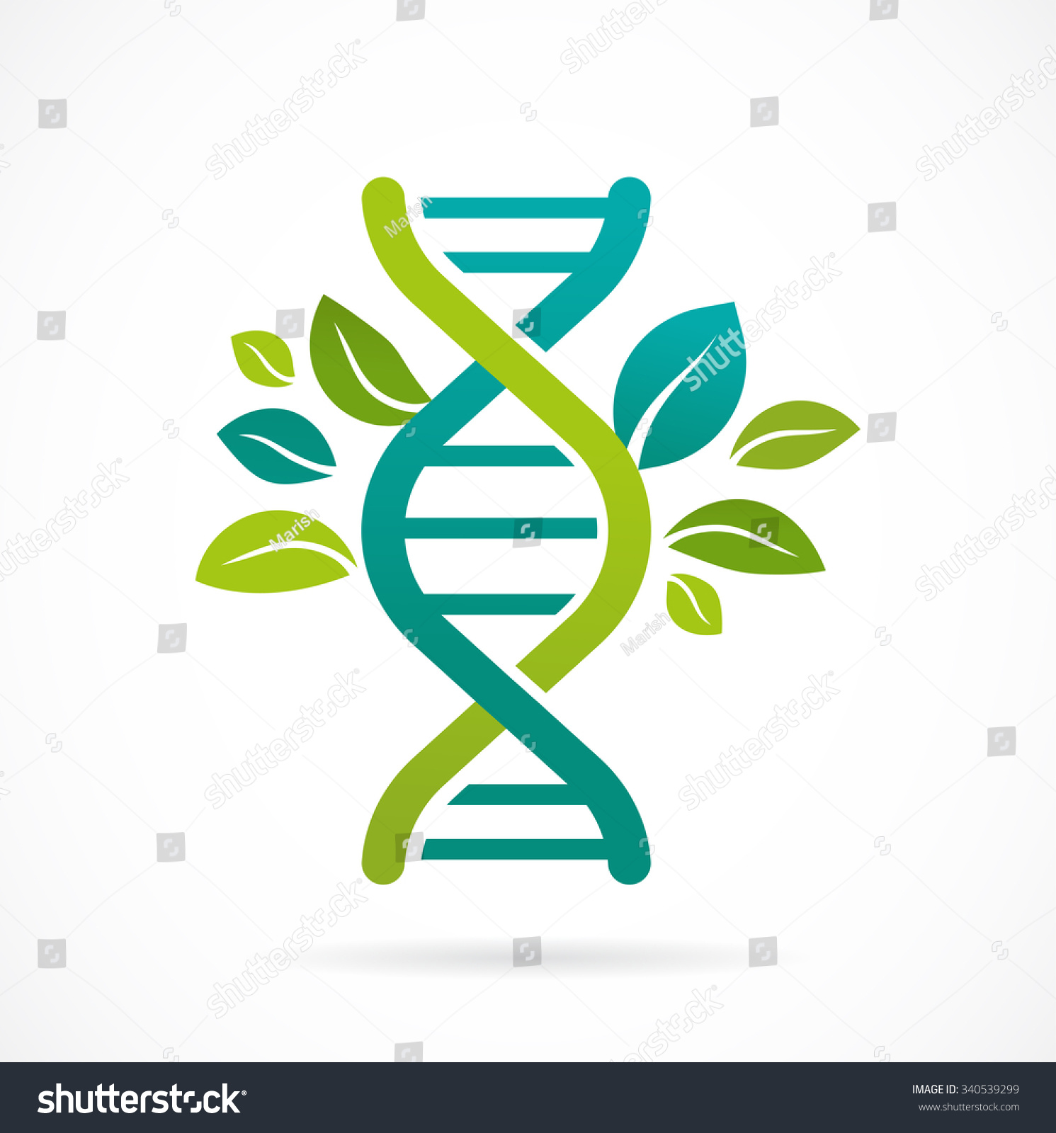 DNA genetic icon - tree with green leaves_站酷海洛_正版图片_视频_字体_音乐素材交易平台_站酷旗下品牌