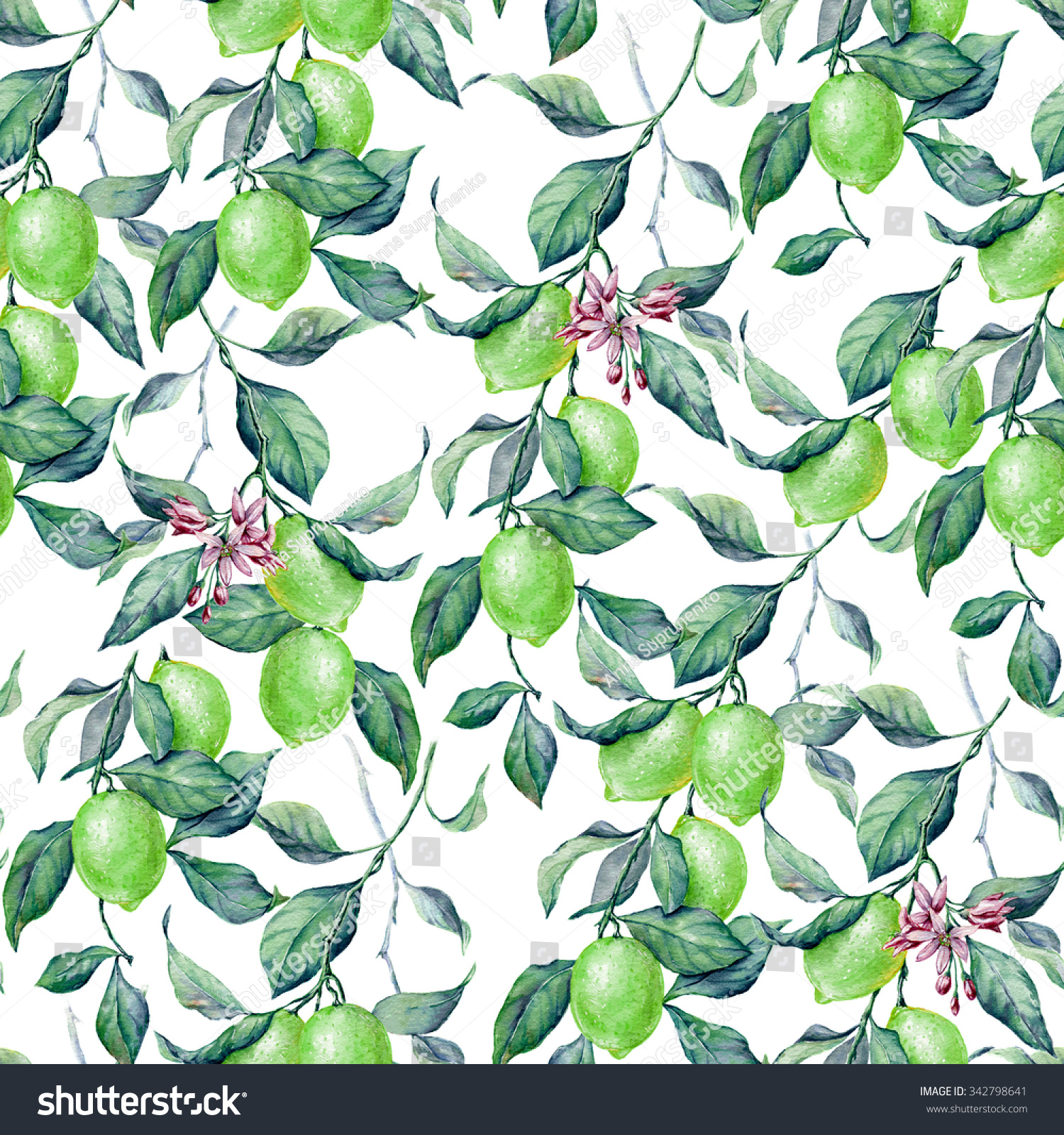 Lime watercolor seamless pattern. Beautiful hand drawn texture ...