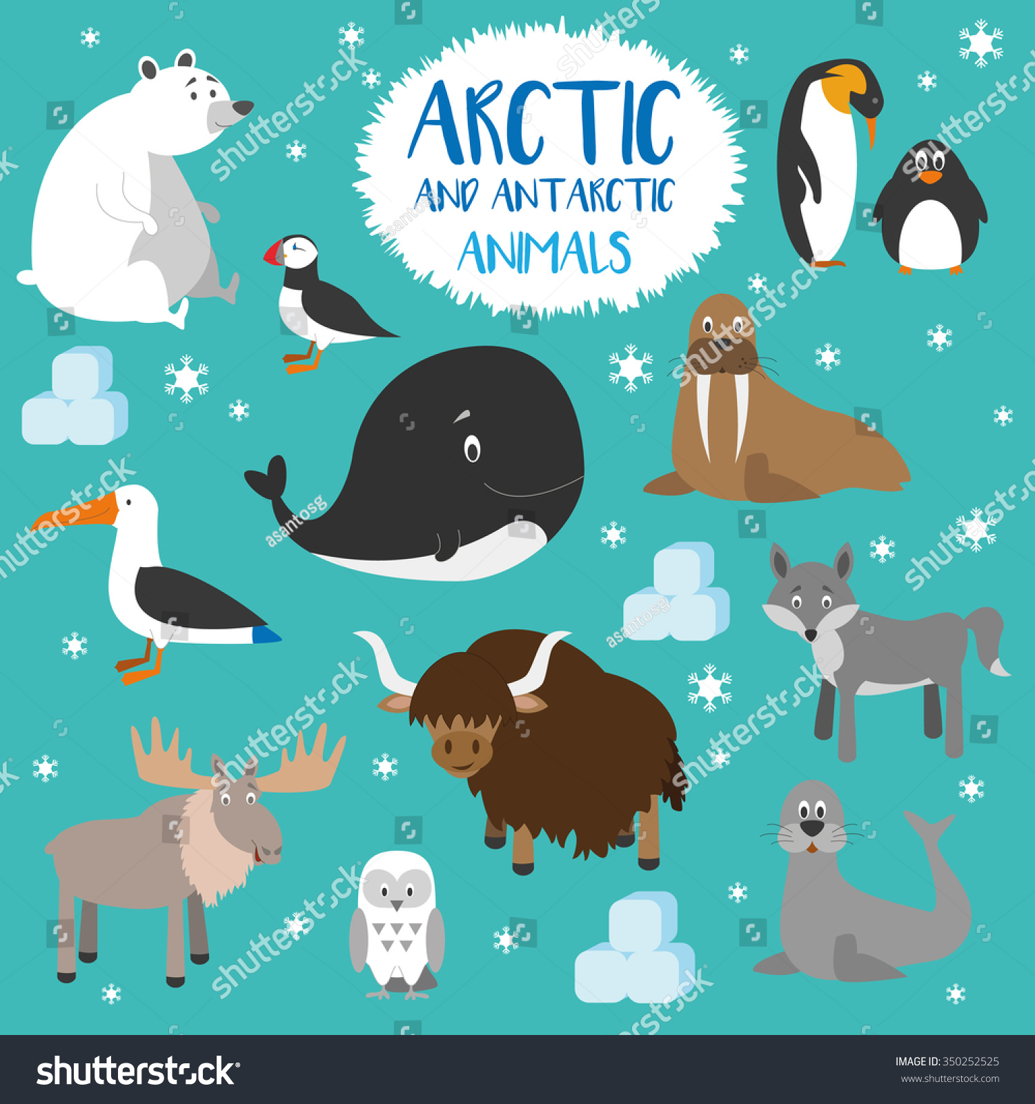 Vector set Arctic and Antarctic animals. Penguin polar bear seal ...