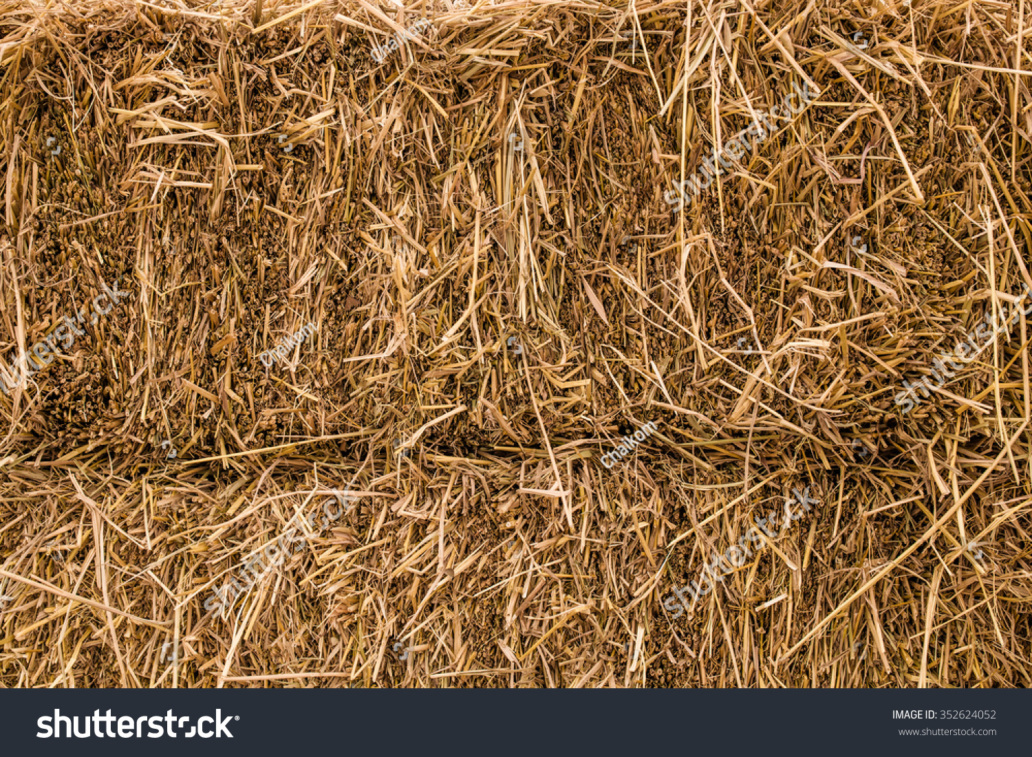 Dry straw macro shot. Background or Texture_站酷海洛_正版图片_视频_字体_音乐素材交易平台_站酷旗下品牌