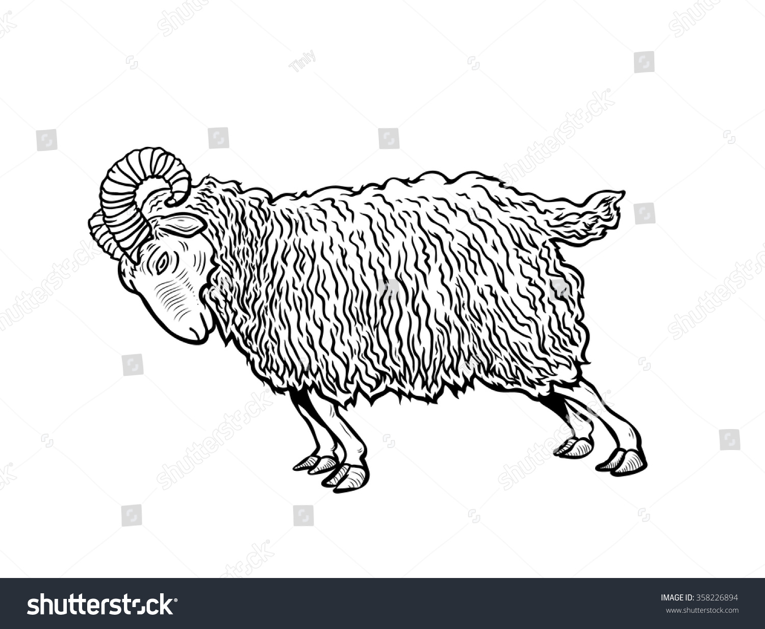 Illustration of a stylized stubborn ram. Line art._站酷海洛_正版图片_视频_字体_音乐素材 ...