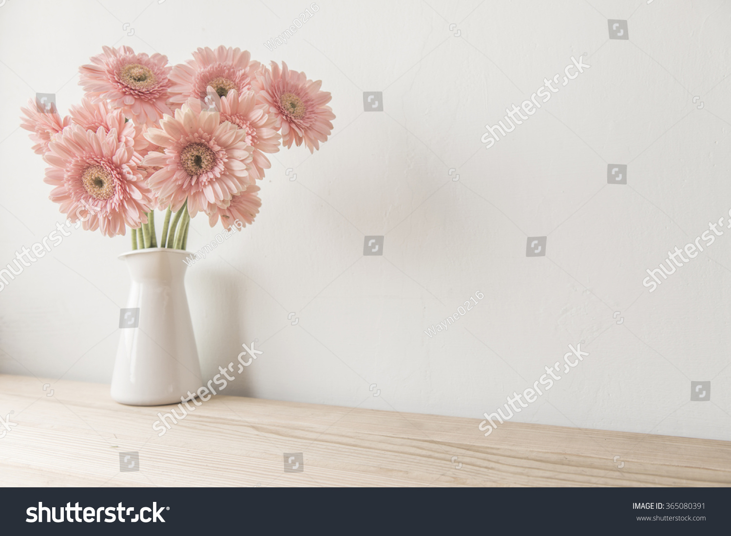 flowers on white background_站酷海洛_正版图片_视频_字体_音乐素材交易平台_站酷旗下品牌