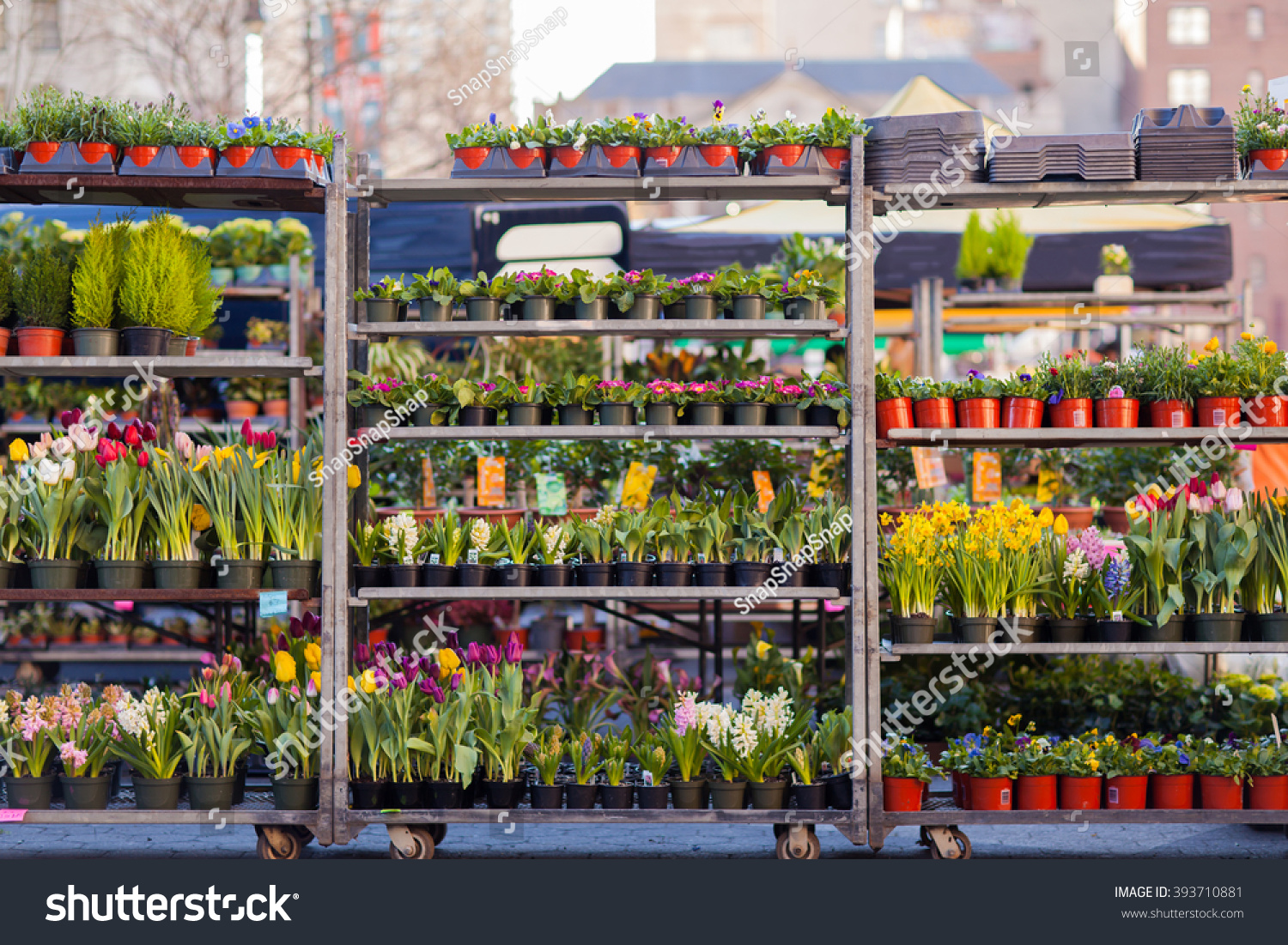 Spring Flowers from the Union Square farmer's market. Easter lilies ...