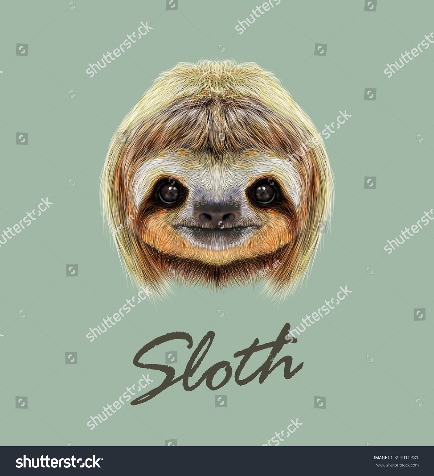 Vector Illustrated Portrait of Sloth. Cute face of tropical Three-toed ...