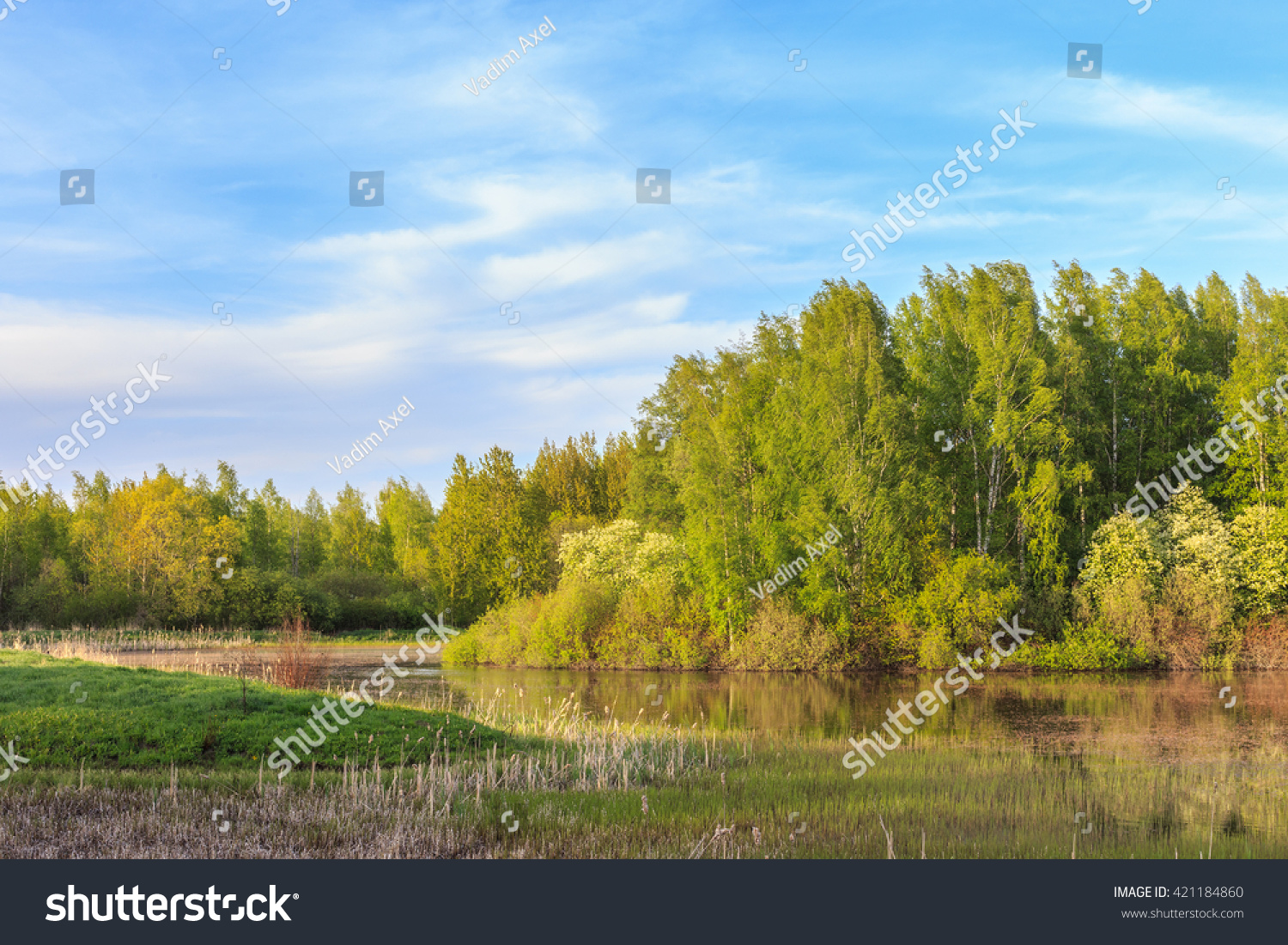 Forest pond_站酷海洛_正版图片_视频_字体_音乐素材交易平台_站酷旗下品牌