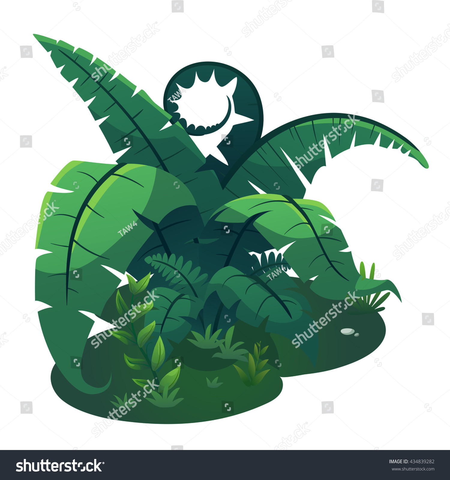 Fantasy fern vector art and illustration._站酷海洛_正版图片_视频_字体_音乐素材交易平台_站酷旗下品牌