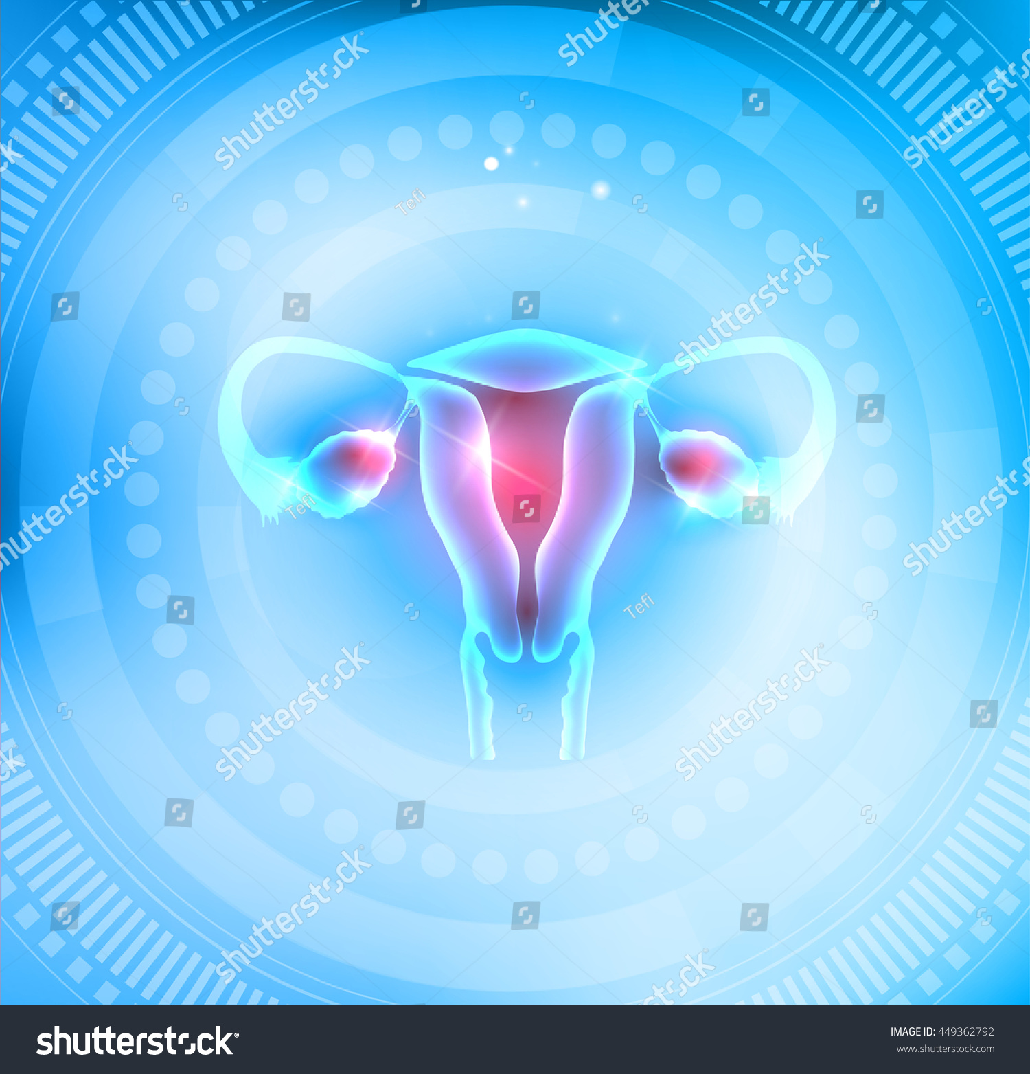 Female Uterus and ovaries on a light blue abstract round circle ...