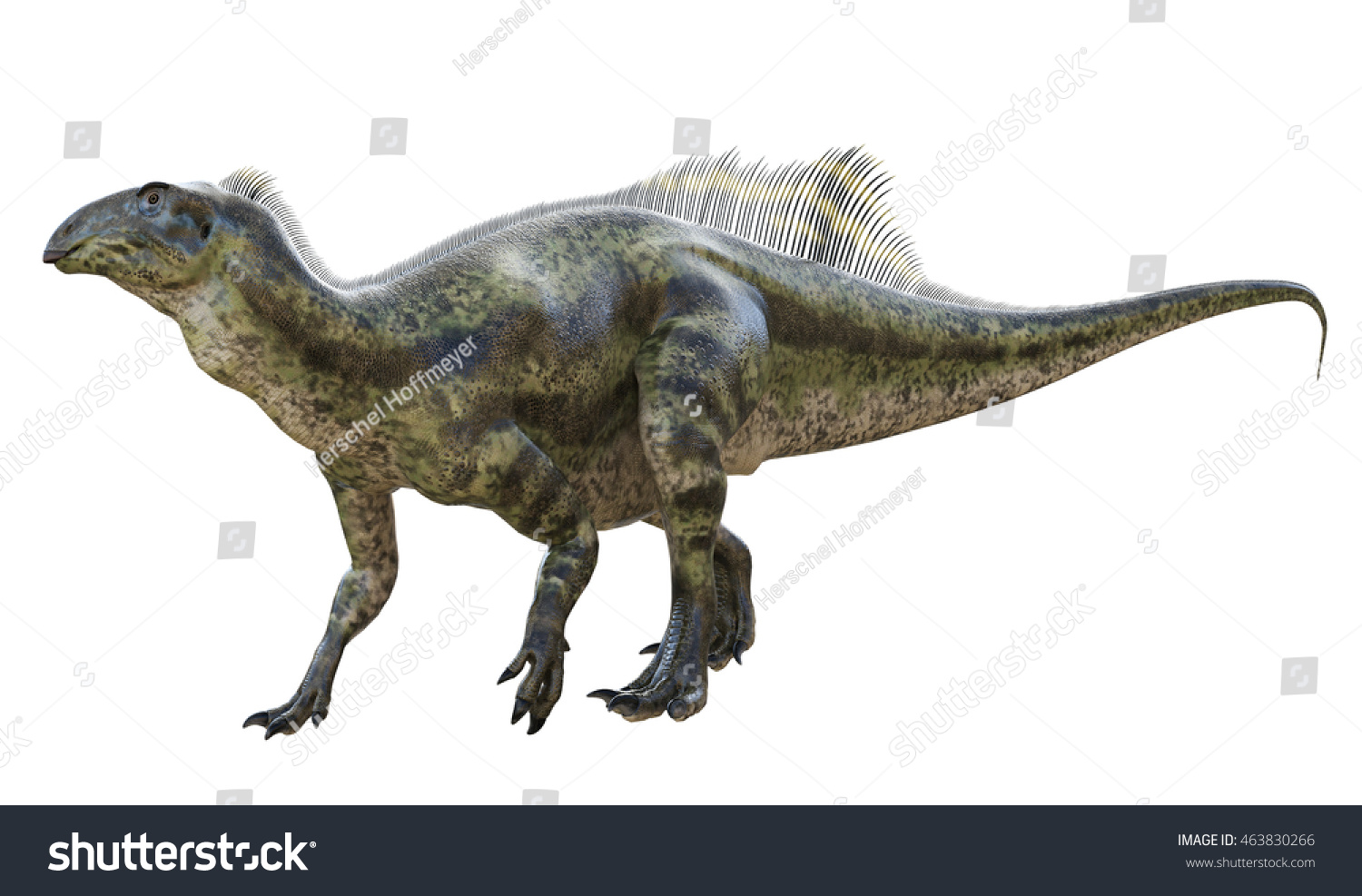 3D rendering of Tenontosaurus._站酷海洛_正版图片_视频_字体_音乐素材交易平台_站酷旗下品牌